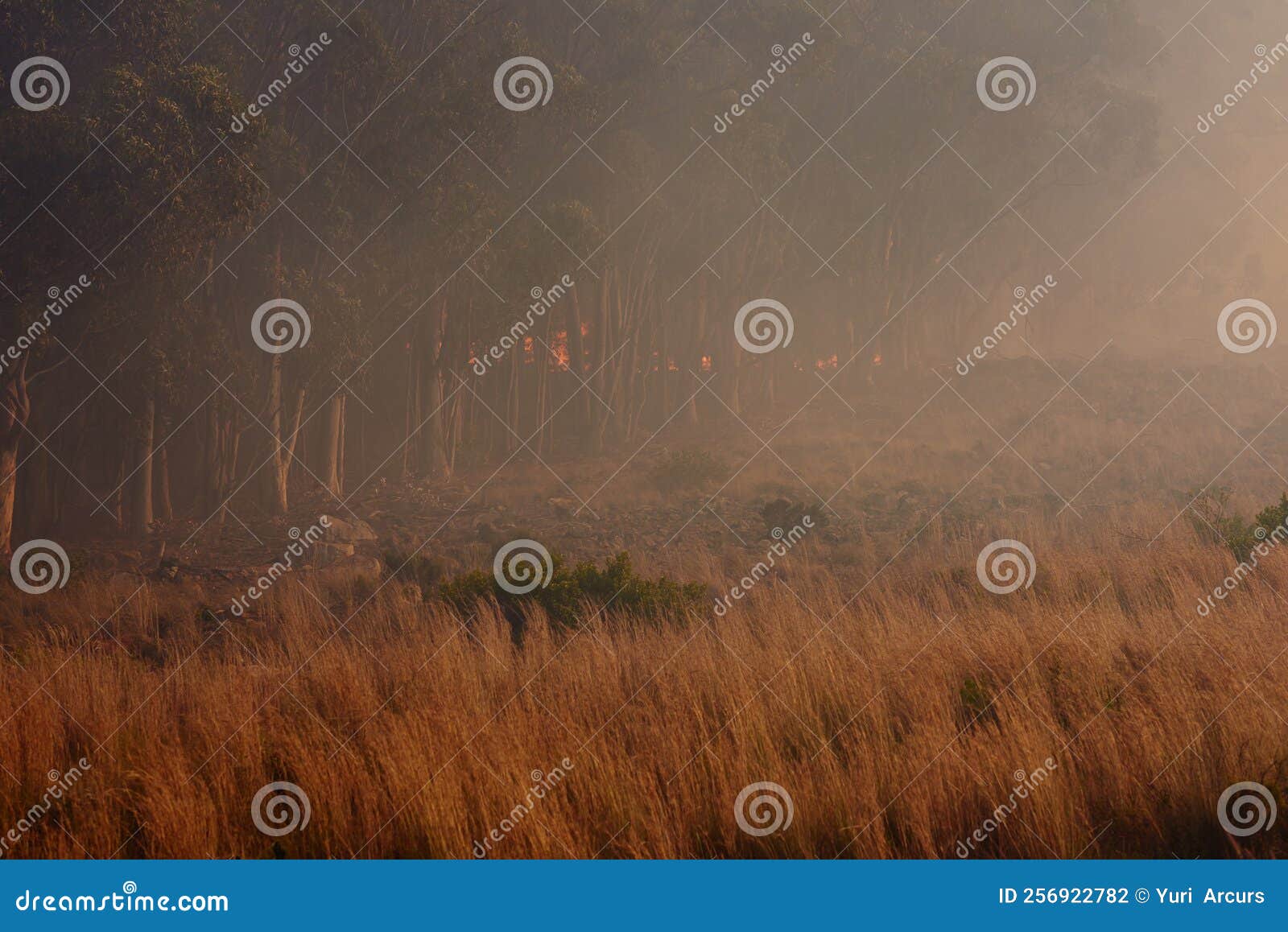 Burning in the Distance. a Wild Fire Burning in the Distance. Stock ...