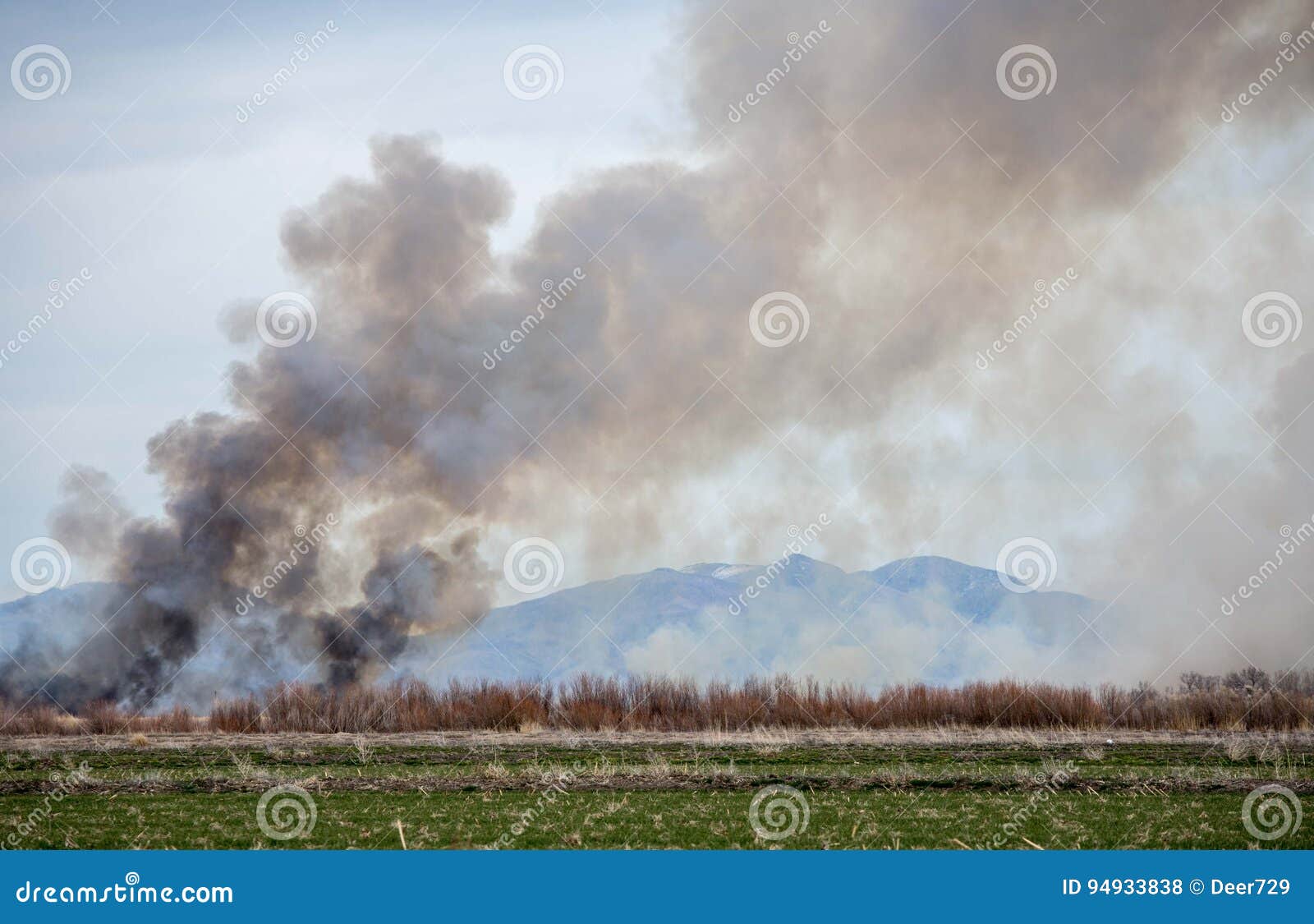 Burning Ditch stock photo. Image of spring, weeds, field - 94933838