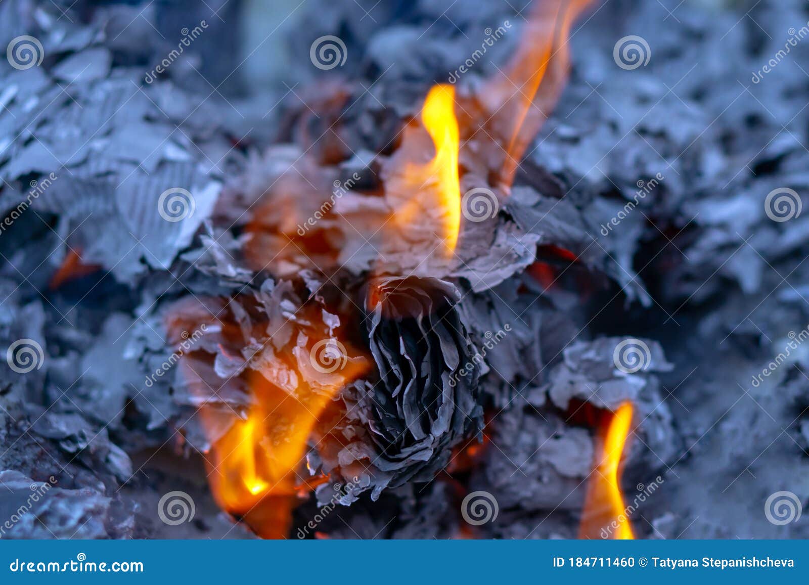 Burning Documents and Newspapers. Bonfire. Fire. Ashes Stock Photo ...