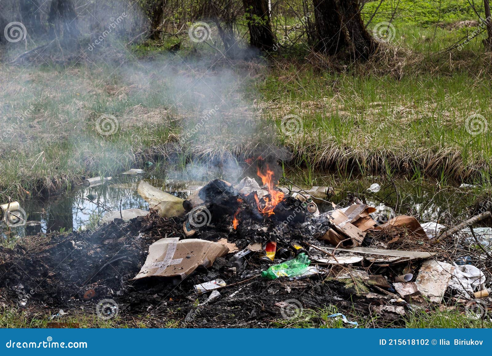 Burning Domestic Garbage, Household Waste in a Fire in the Forest. the ...
