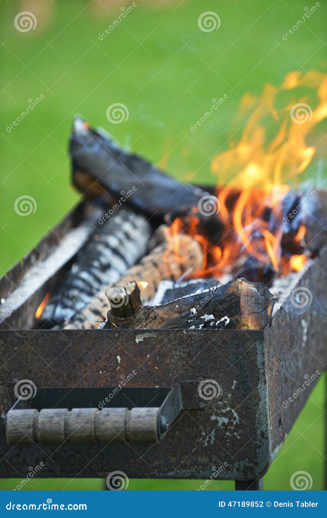 Burning down fire stock photo. Image of burning, bonfire - 47189852