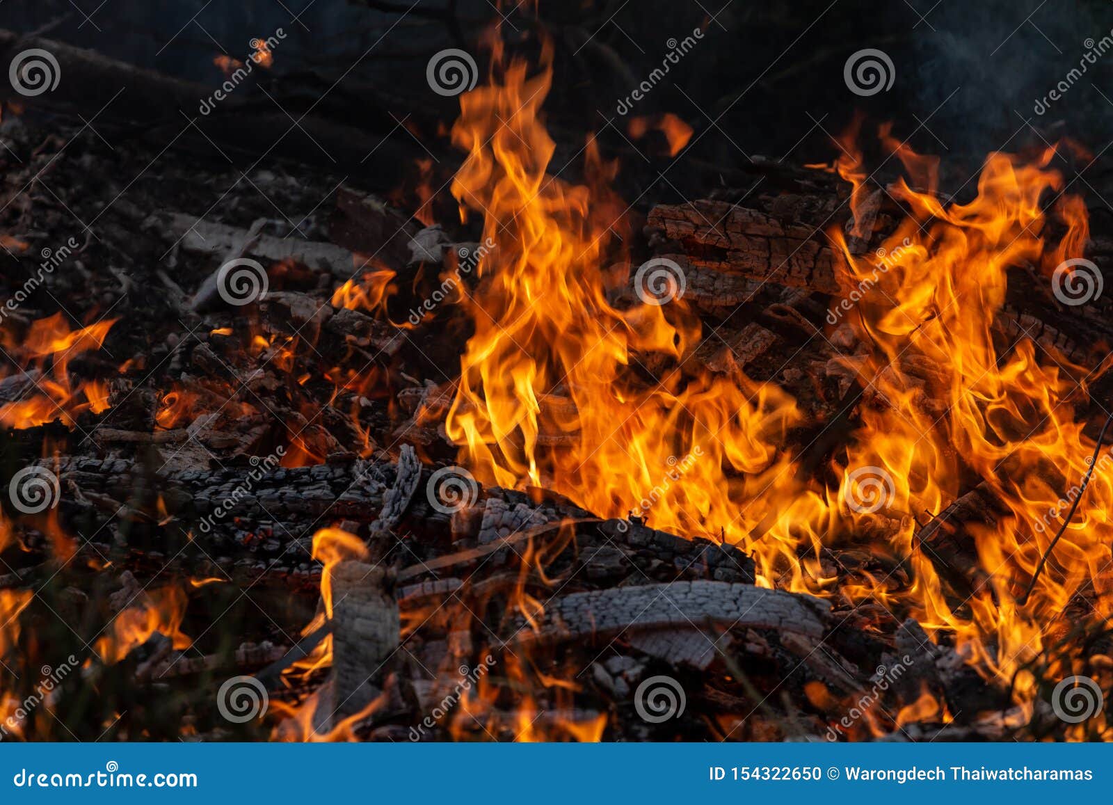 Burning Down Fire. Last Embers and Ashes Stock Photo - Image of closeup ...