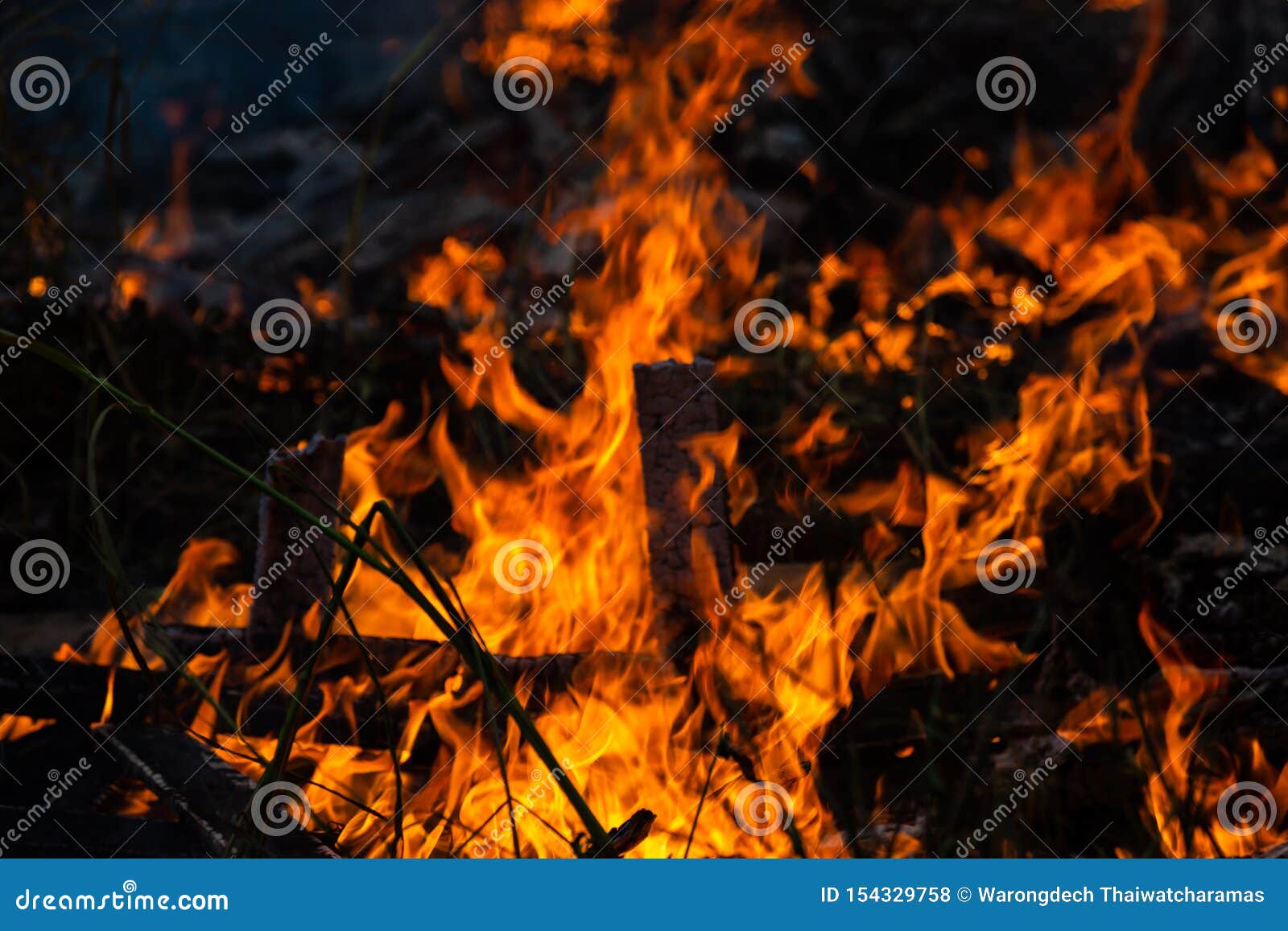 Burning Down Fire. Last Embers and Ashes Stock Photo - Image of night ...