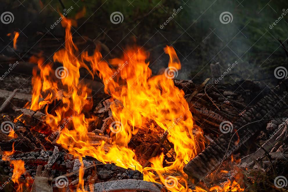 Burning Down Fire. Last Embers and Ashes Stock Photo - Image of nature ...