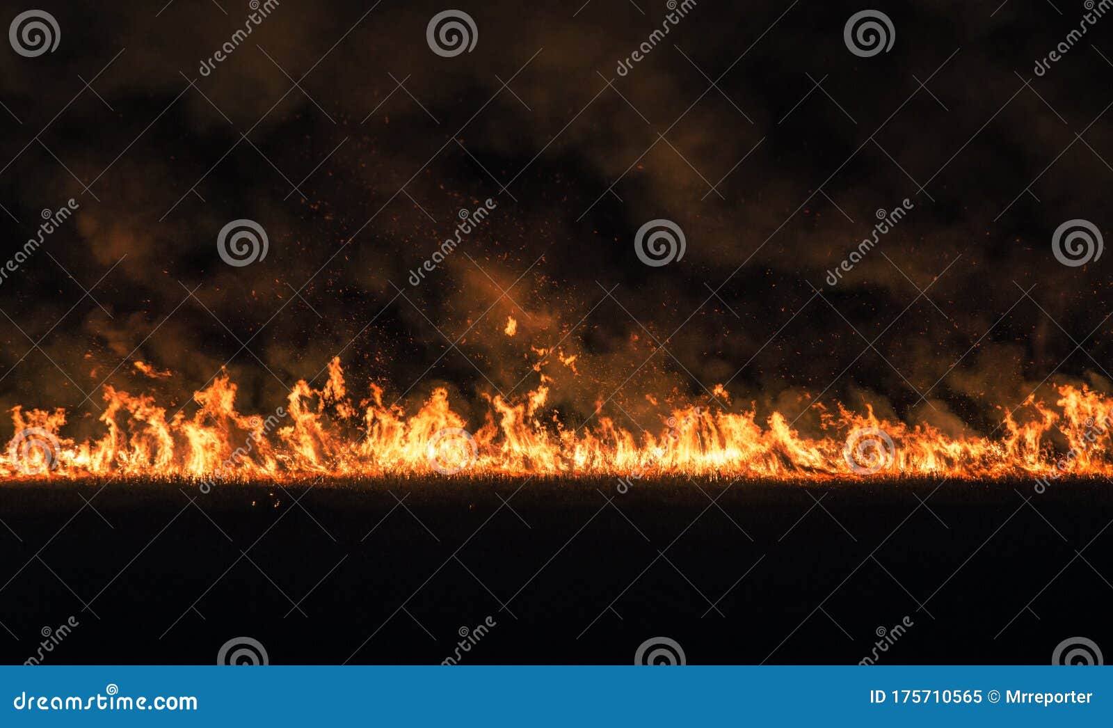Burning field stock image. Image of bush, long, grass - 175710565