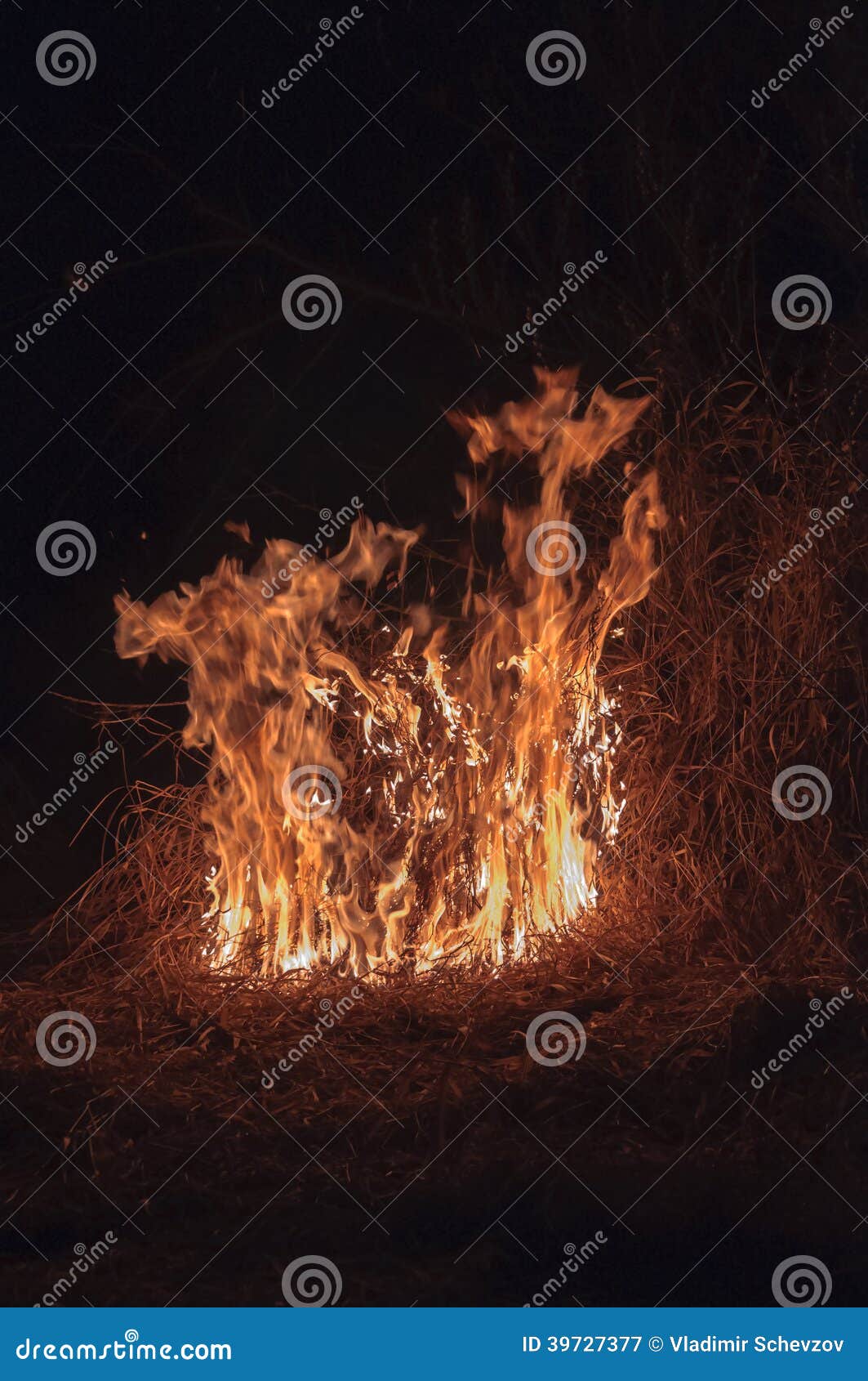 Burning dry grass at night stock image. Image of land - 39727377