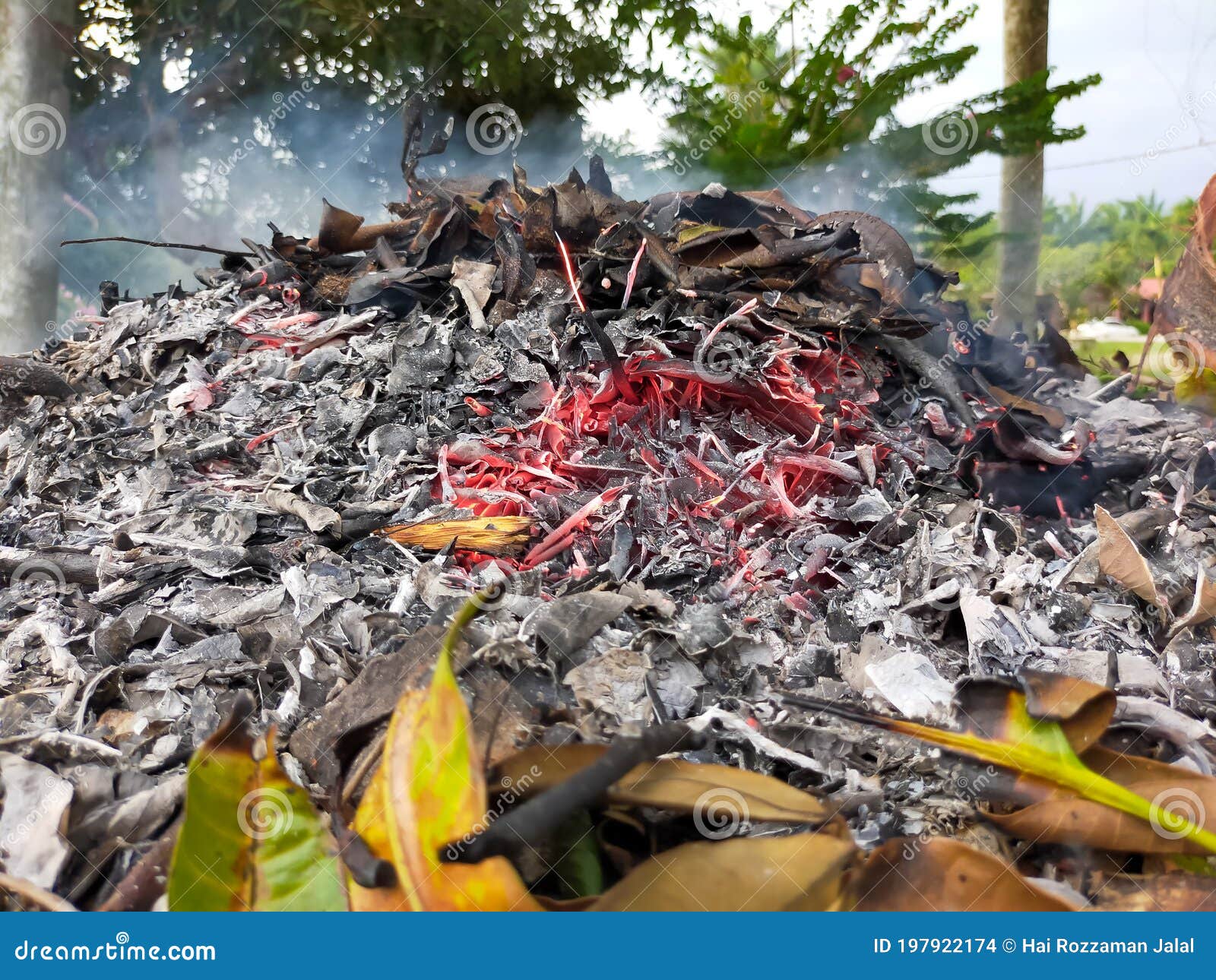 Burning Dry Leaves in the Morning Stock Photo - Image of garbage ...