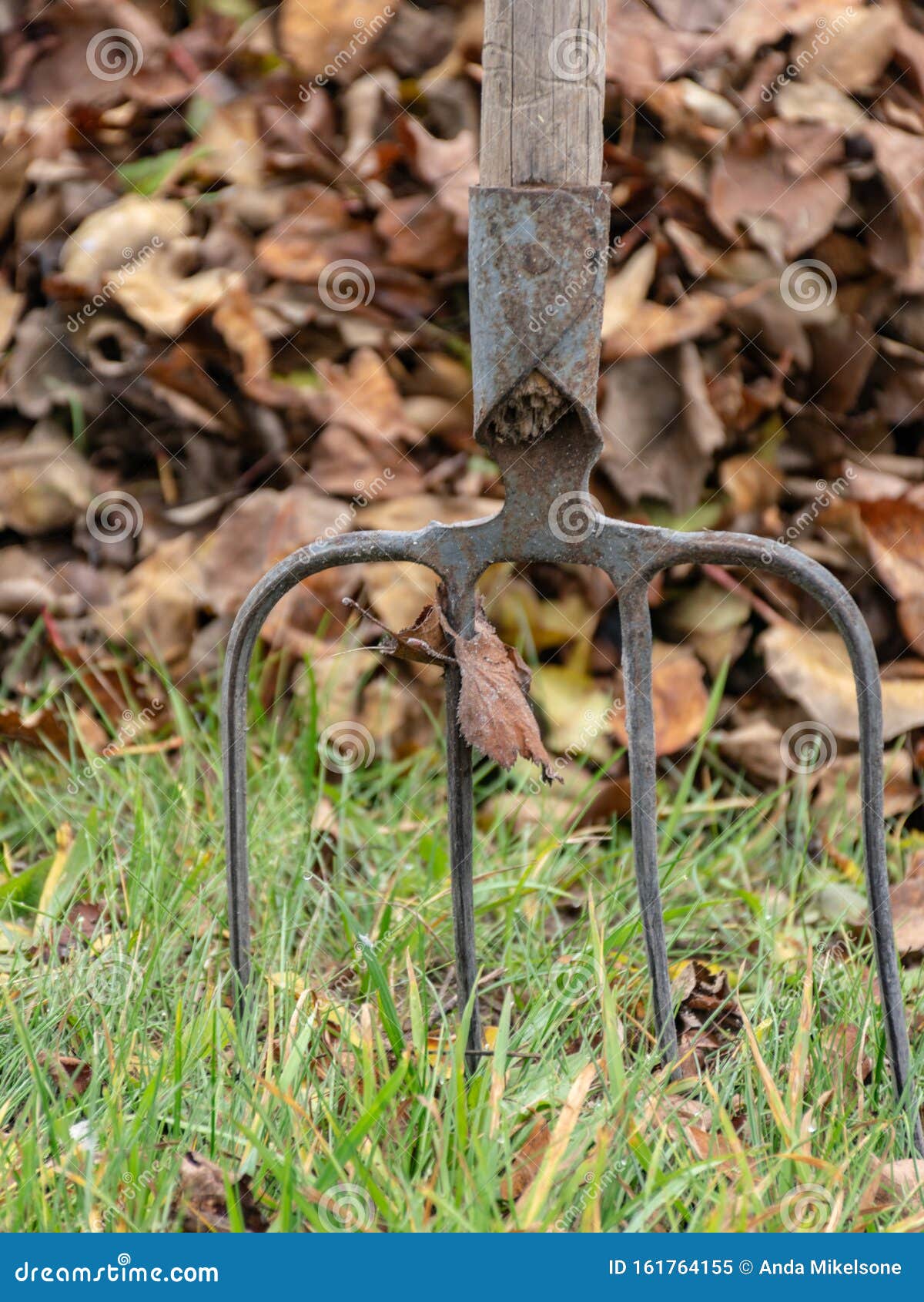Burning Dry Tree Leaves and Forks Stock Image - Image of burning ...