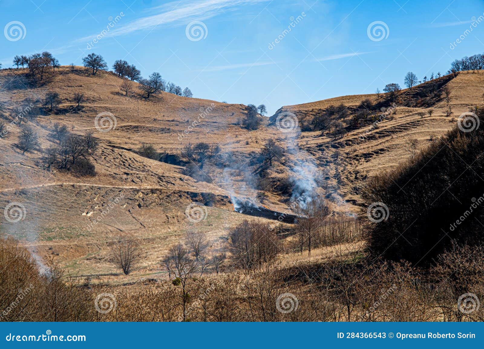 Burning dry vegetation stock image. Image of change - 284366543