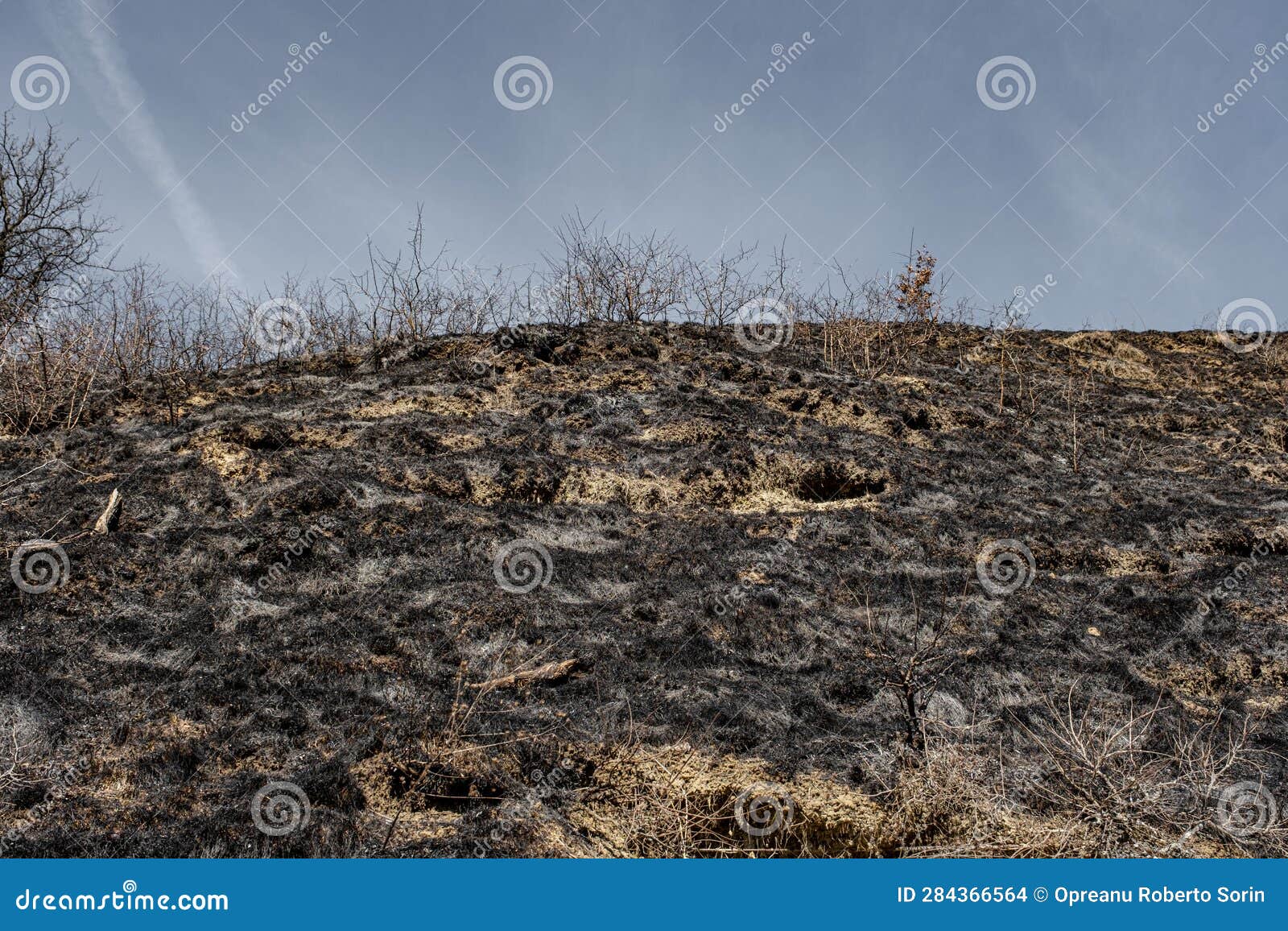 Burning dry vegetation stock photo. Image of cinder - 284366564
