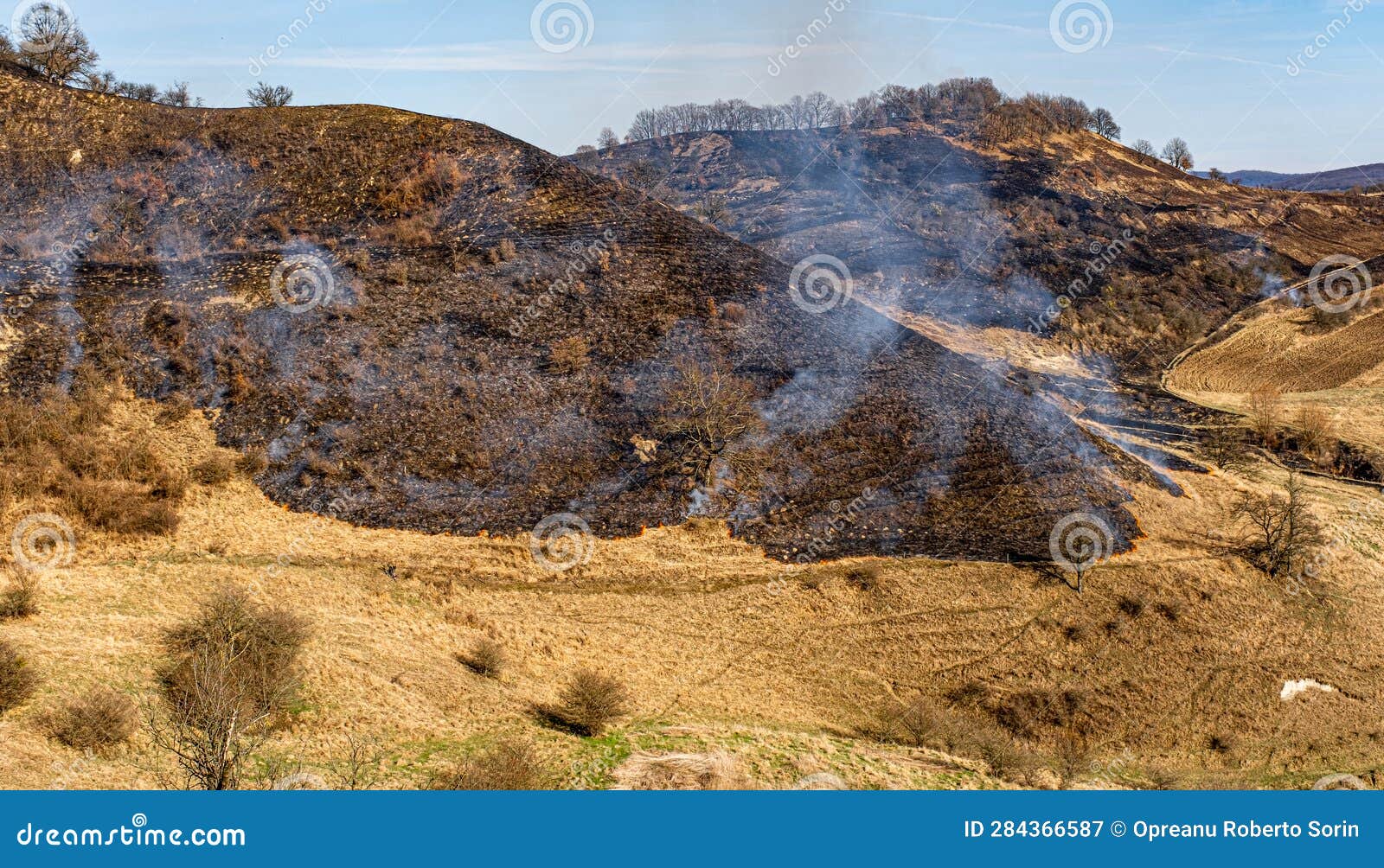 Burning dry vegetation stock image. Image of burn, park - 284366587