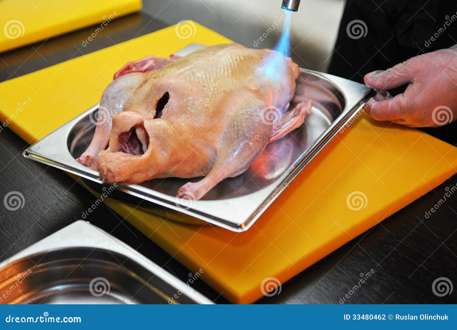 Burning duck stock photo. Image of duck, grill, body - 33480462