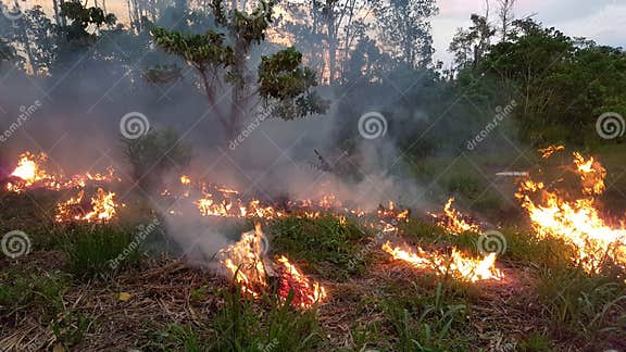Burning Farm stock image. Image of burning, farm, burn - 128387243