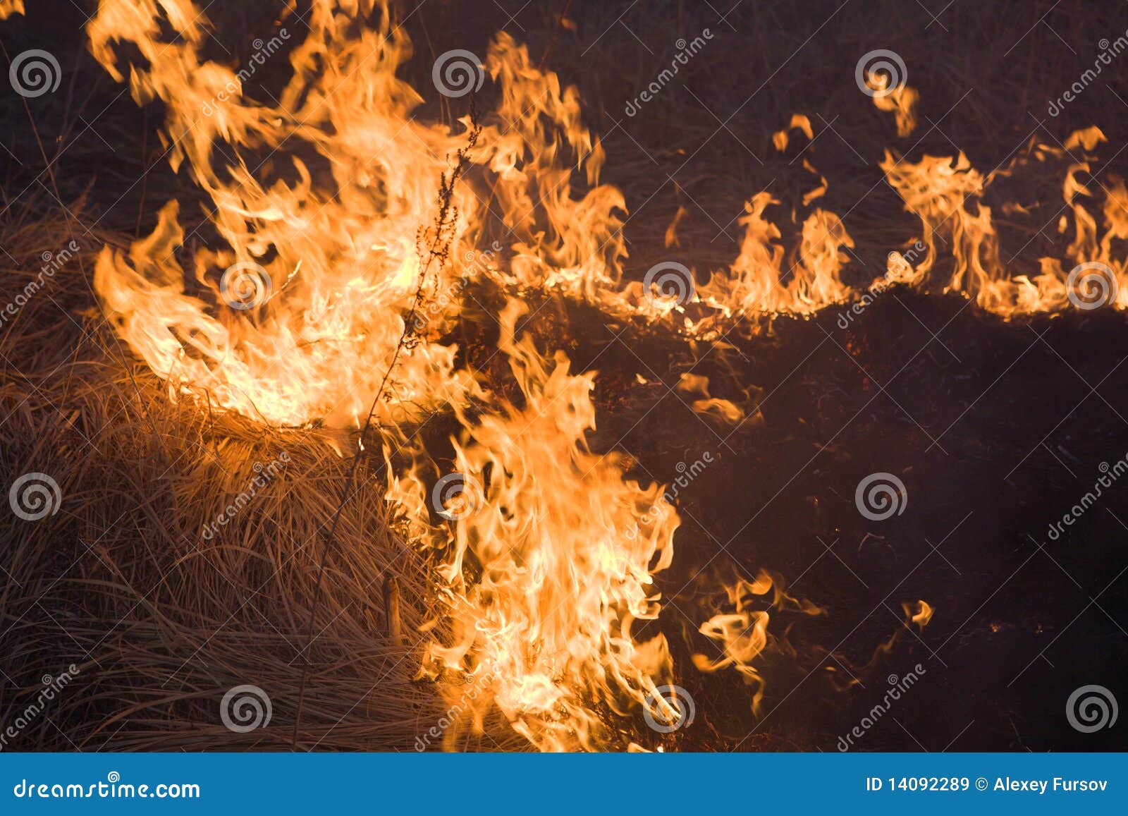 Burning field stock image. Image of protection, ground - 14092289