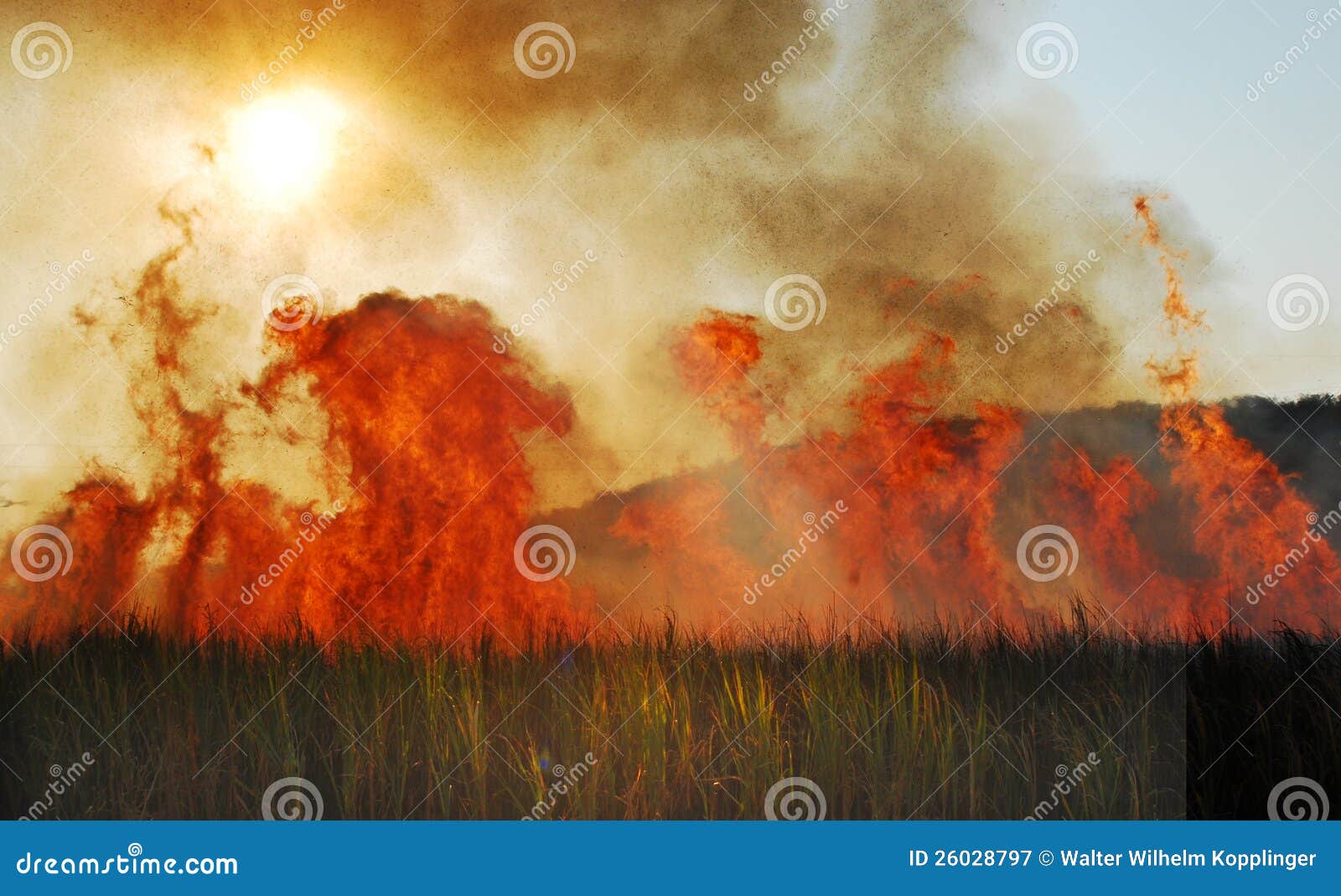 Burning field stock image. Image of countryside, flames - 26028797