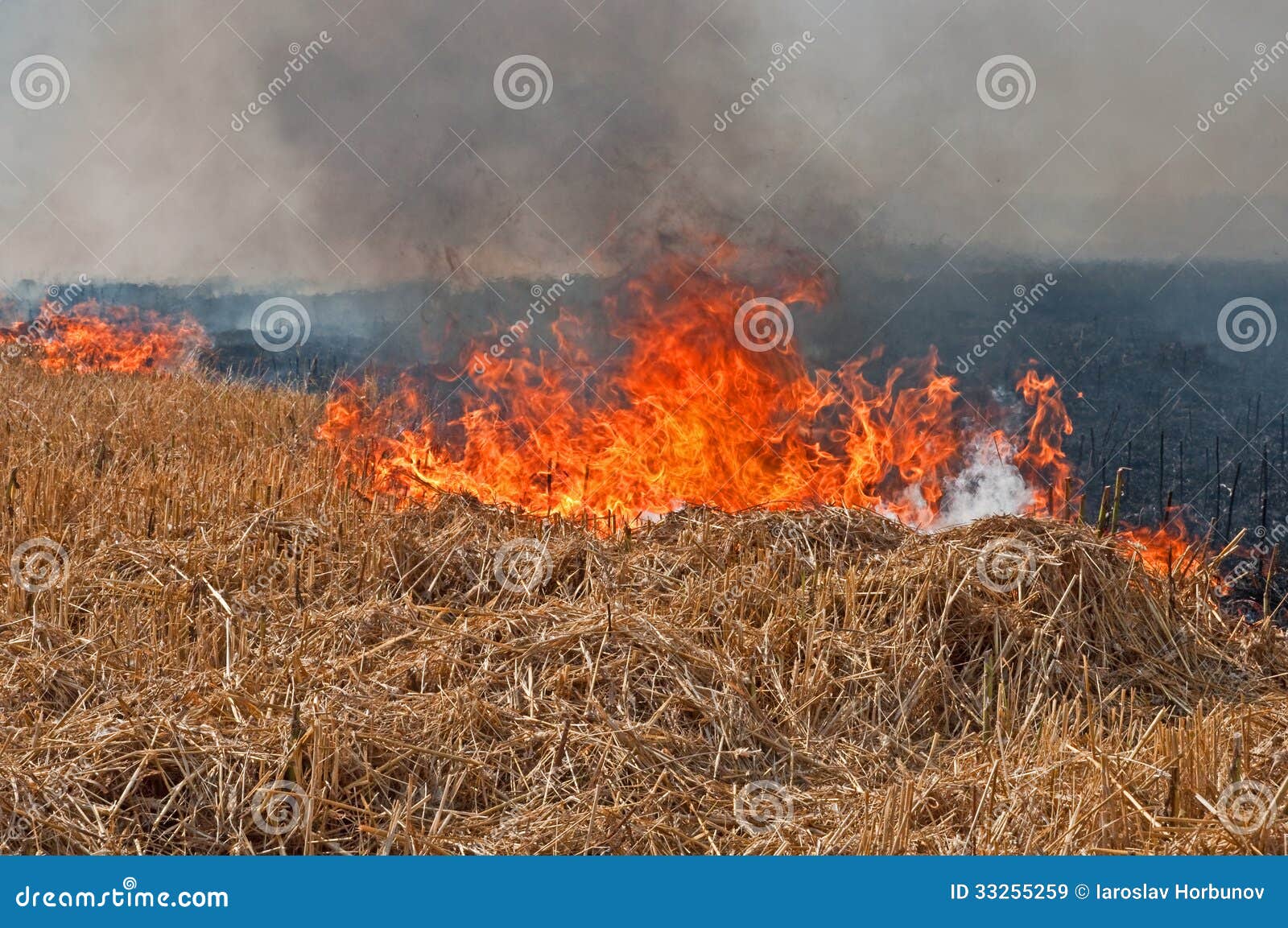 Burning field stock image. Image of drought, dioxide - 33255259