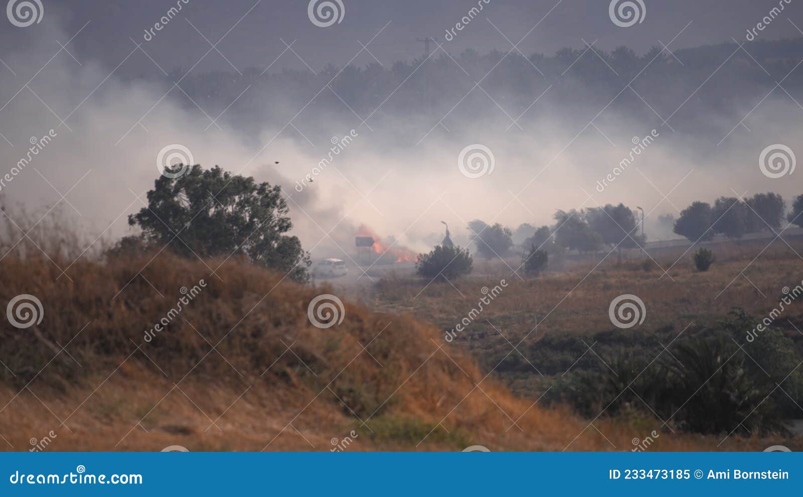 Burning field is on fire stock video. Video of wildfire - 233473185