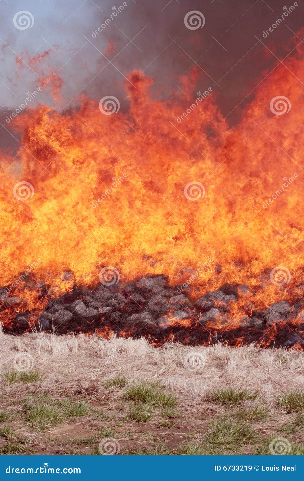 Burning field of grass stock image. Image of burning, prairie - 6733219