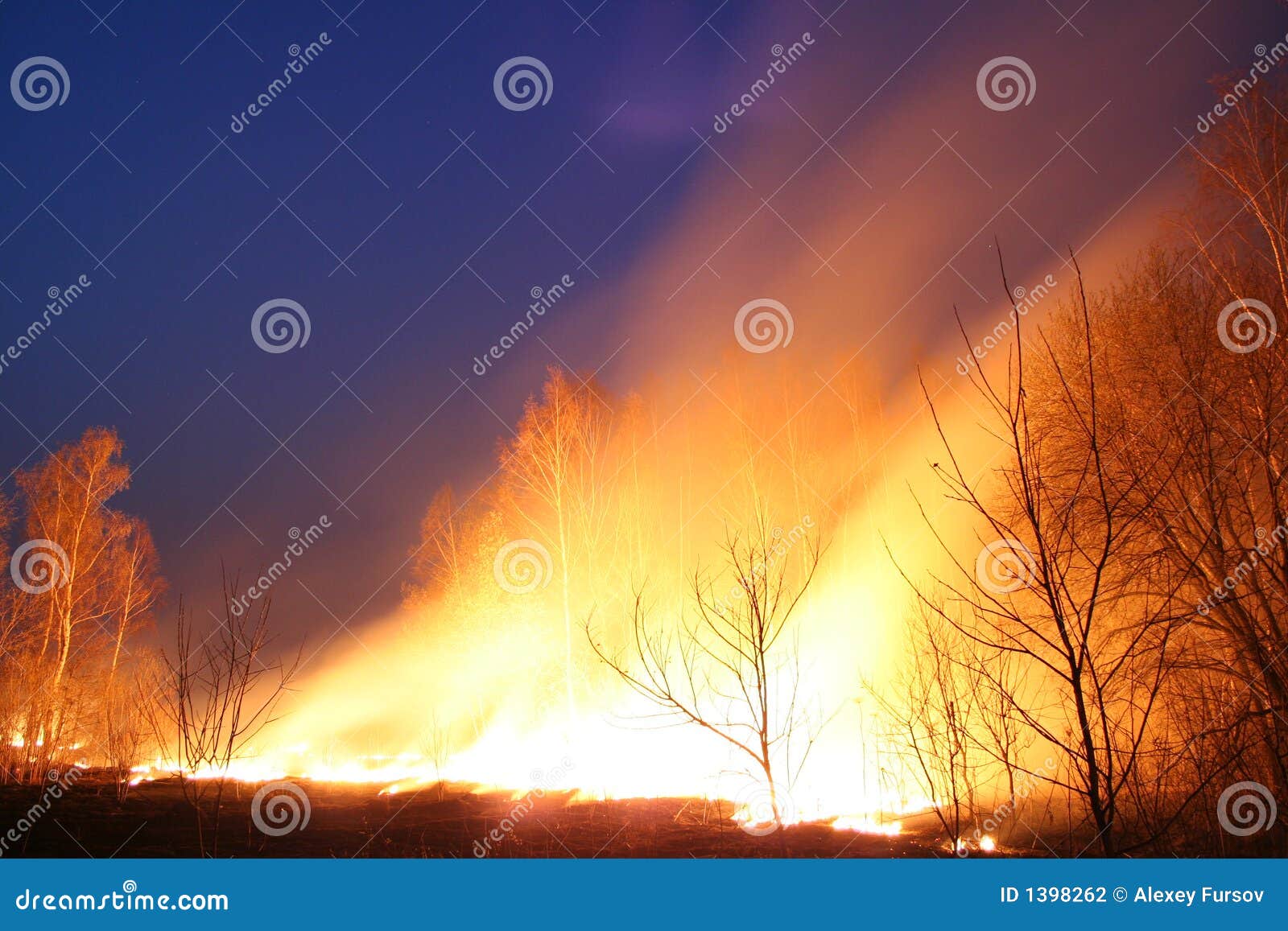 Burning field at night stock photo. Image of herbage, herb - 1398262
