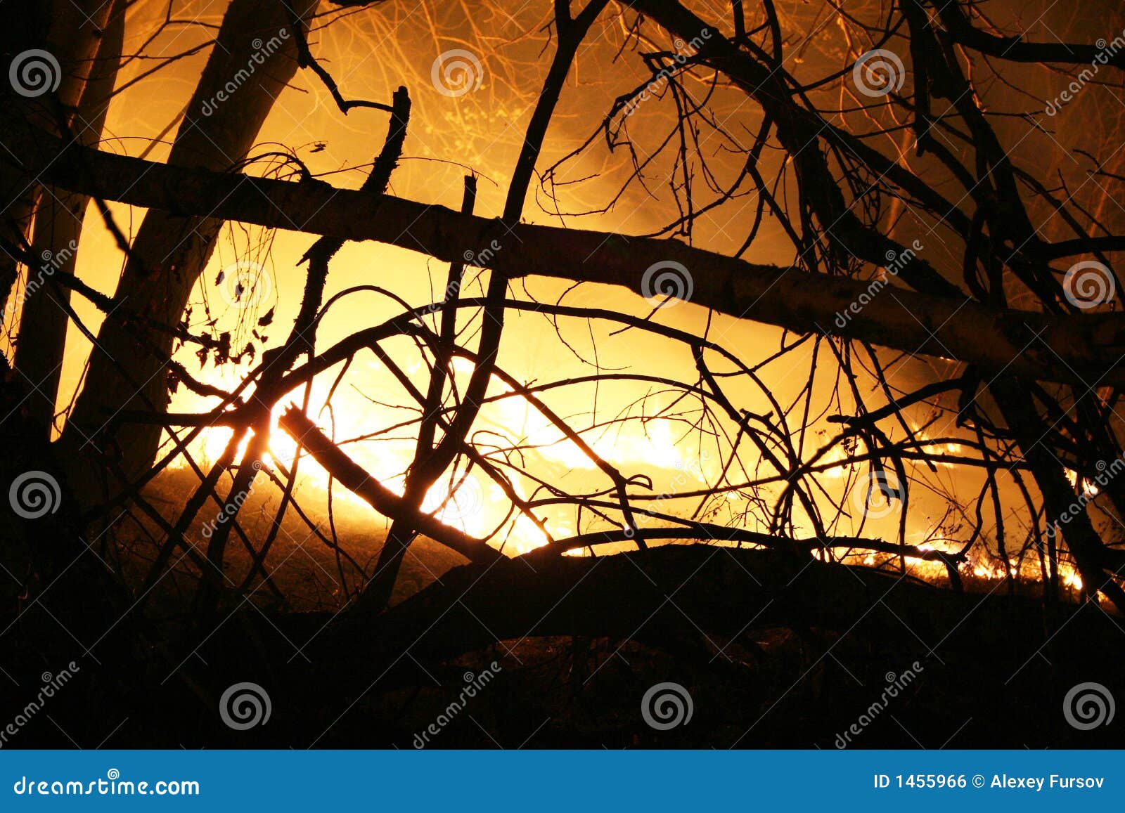 Burning field at night stock photo. Image of burning, conflagration ...