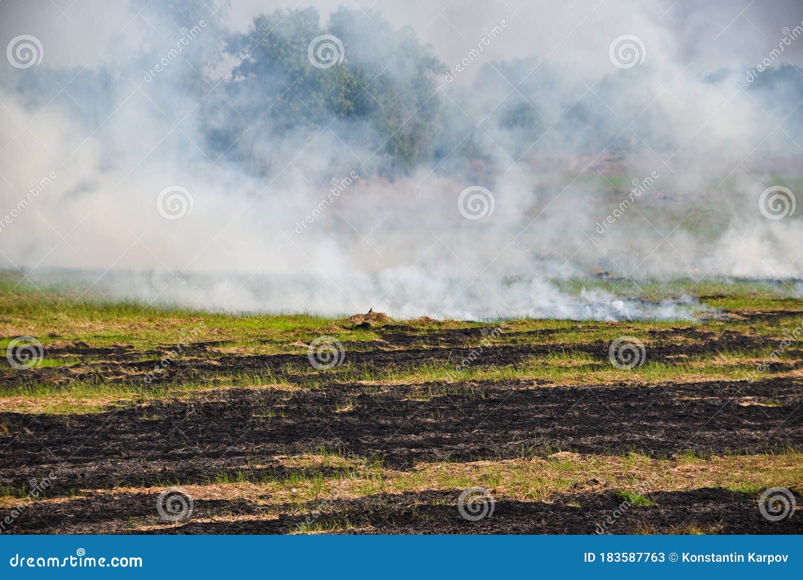 Burning Fields in Thailand. Smoke and Burnt Grass on the Field Stock ...