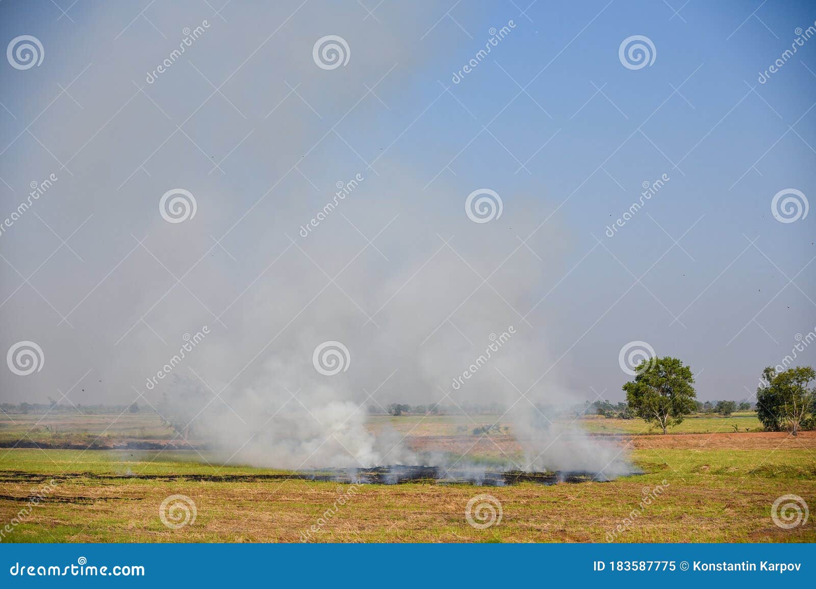 Burning Fields in Thailand. Smoke and Burnt Grass on the Field Stock ...