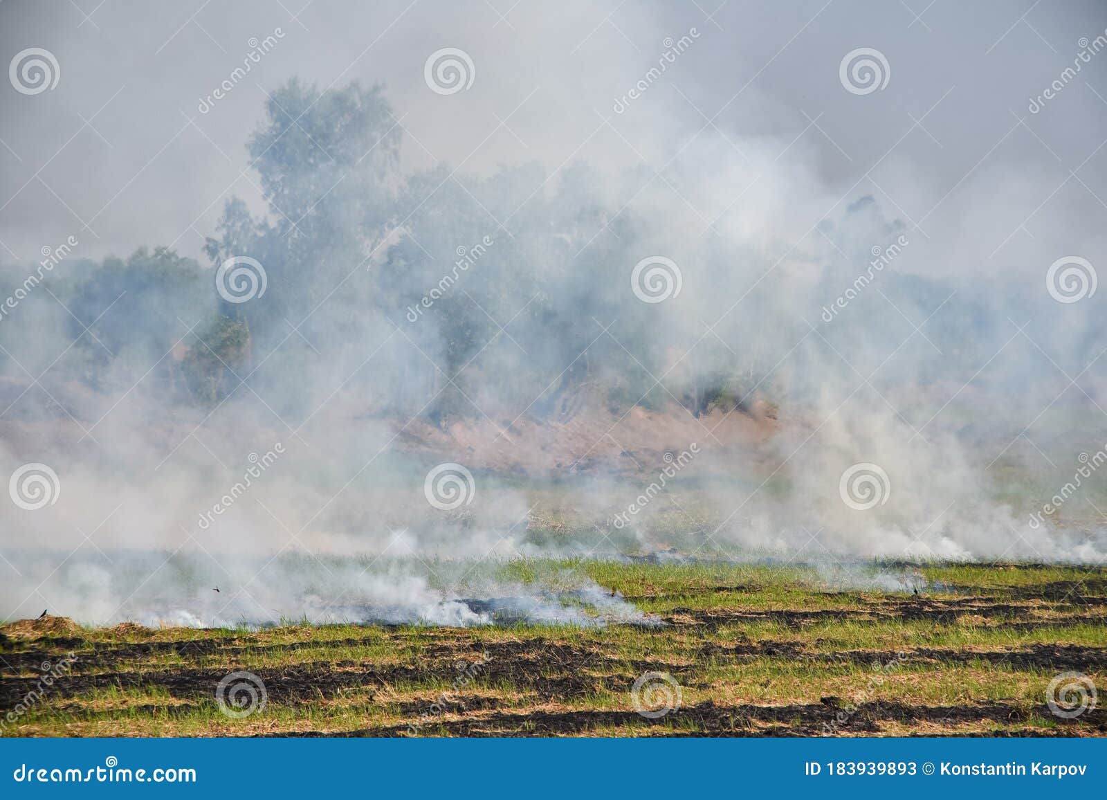 Burning Fields in Thailand. Smoke and Burnt Grass on the Field Stock ...