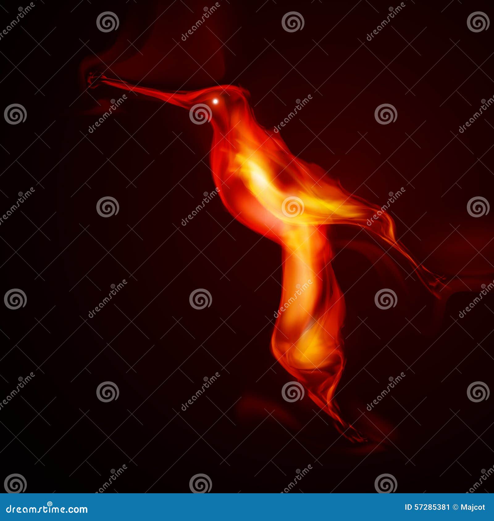 Burning fiery bird stock vector. Illustration of beautiful - 57285381
