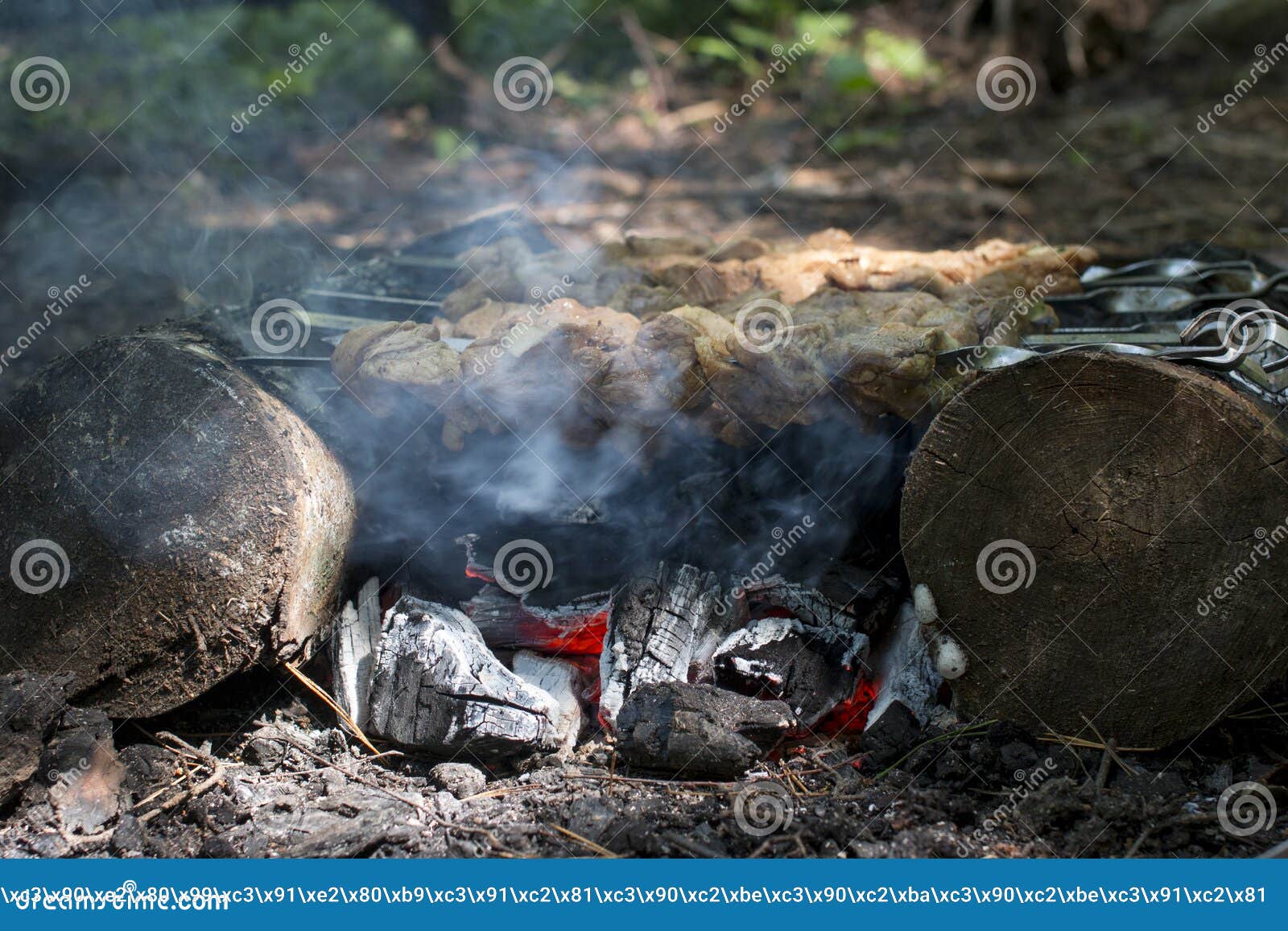 Roast Pork Over a Fire and Skewers. Stock Photo - Image of food, fresh ...