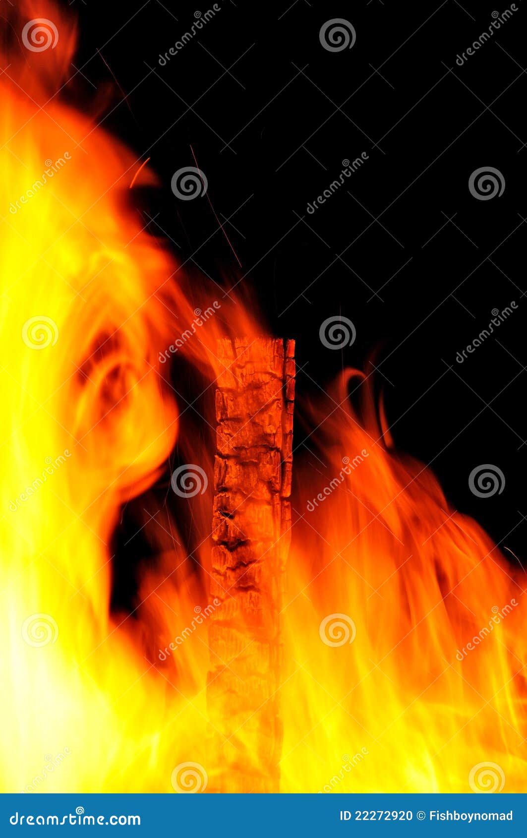 Burning fire stock photo. Image of camp, wood, colors - 22272920