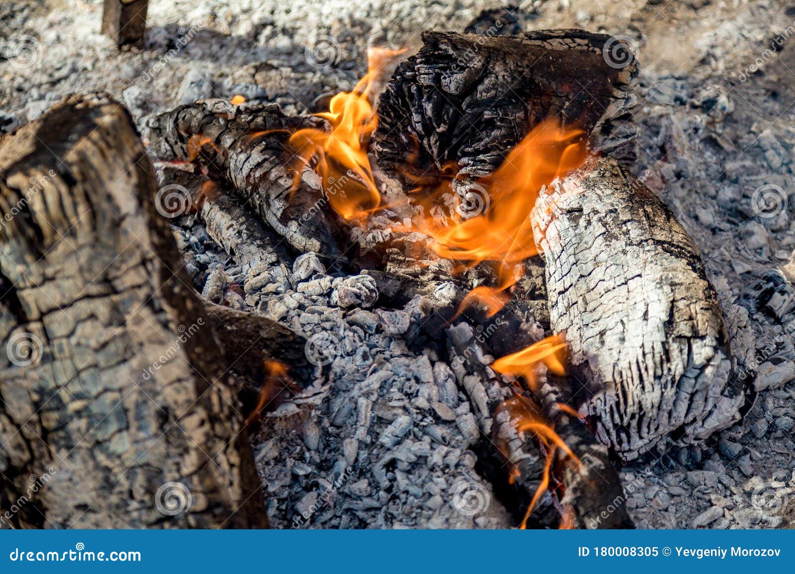 Burning fire with ash stock image. Image of coal, summer - 180008305