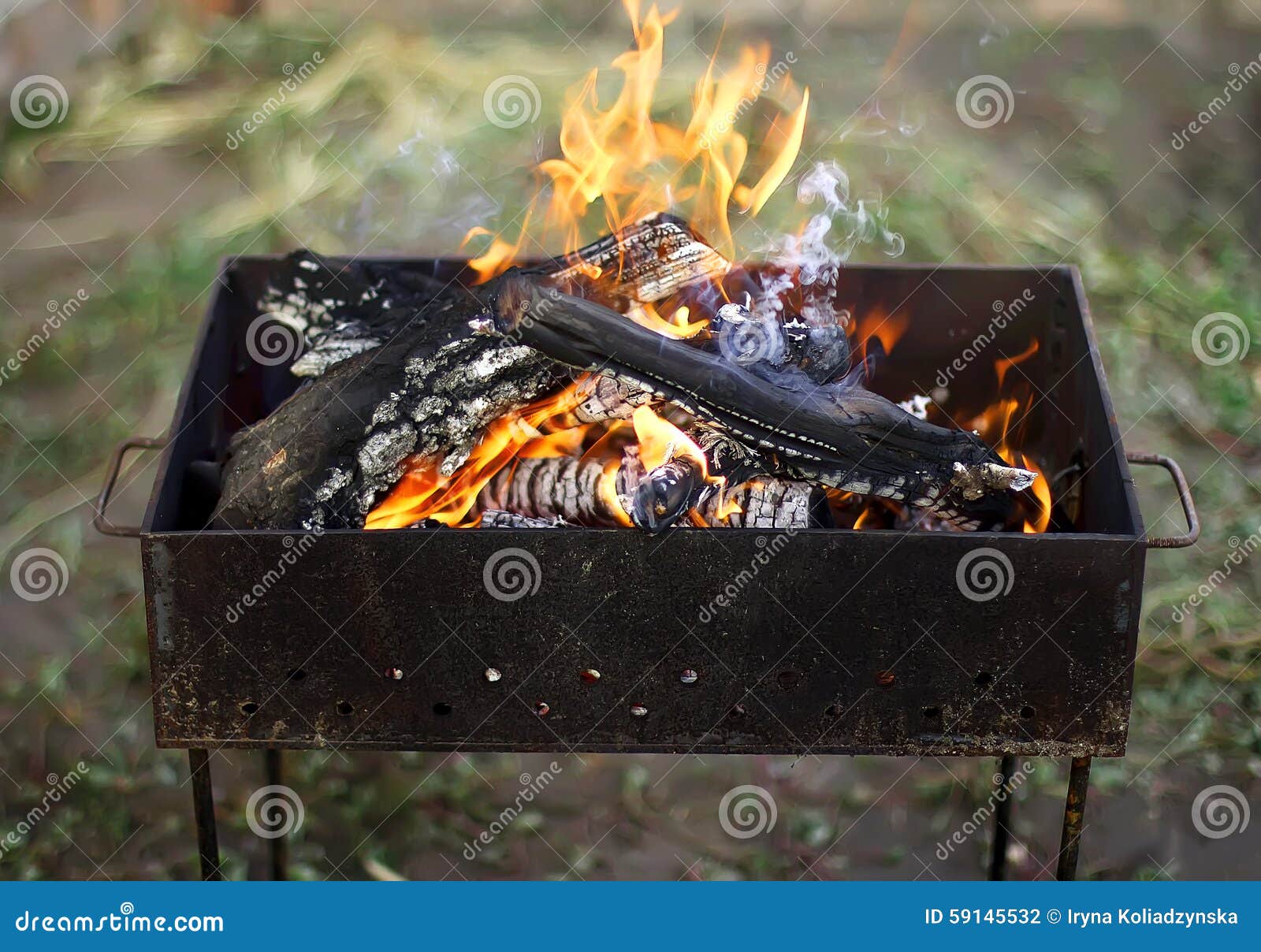 Burning Fire for a Barbecue Outdoors Stock Photo - Image of meat ...