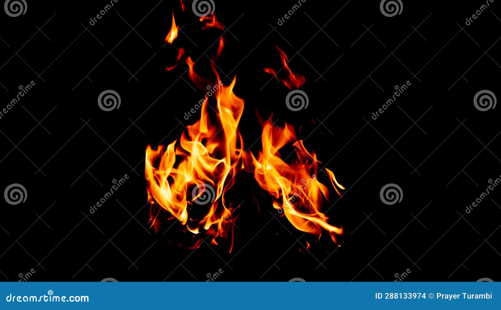 Burning Fire on a Black Background Stock Photo - Image of burn ...