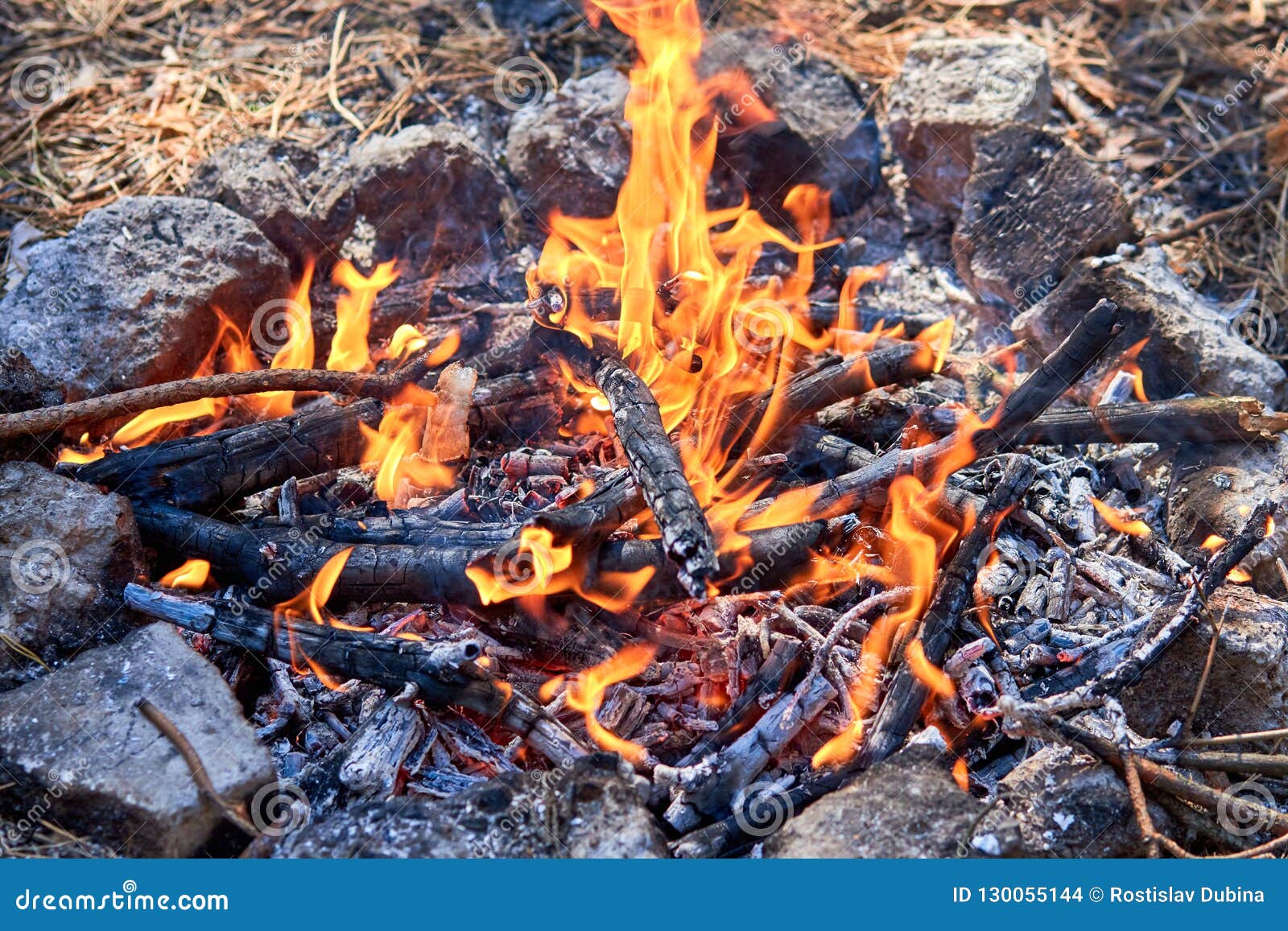 Burning Fire. the Bonfire Burns in the Forest. Texture of Burning Fire ...