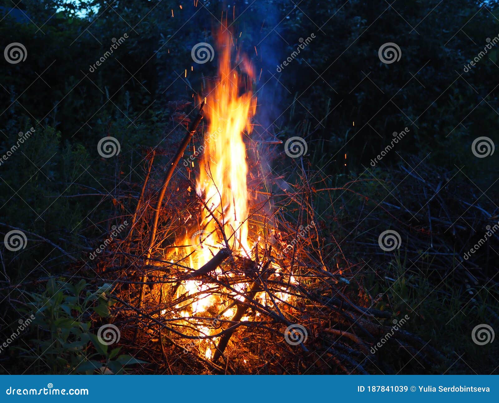 Burning Fire. the Bonfire Burns in the Forest. Texture of Burning Fire ...
