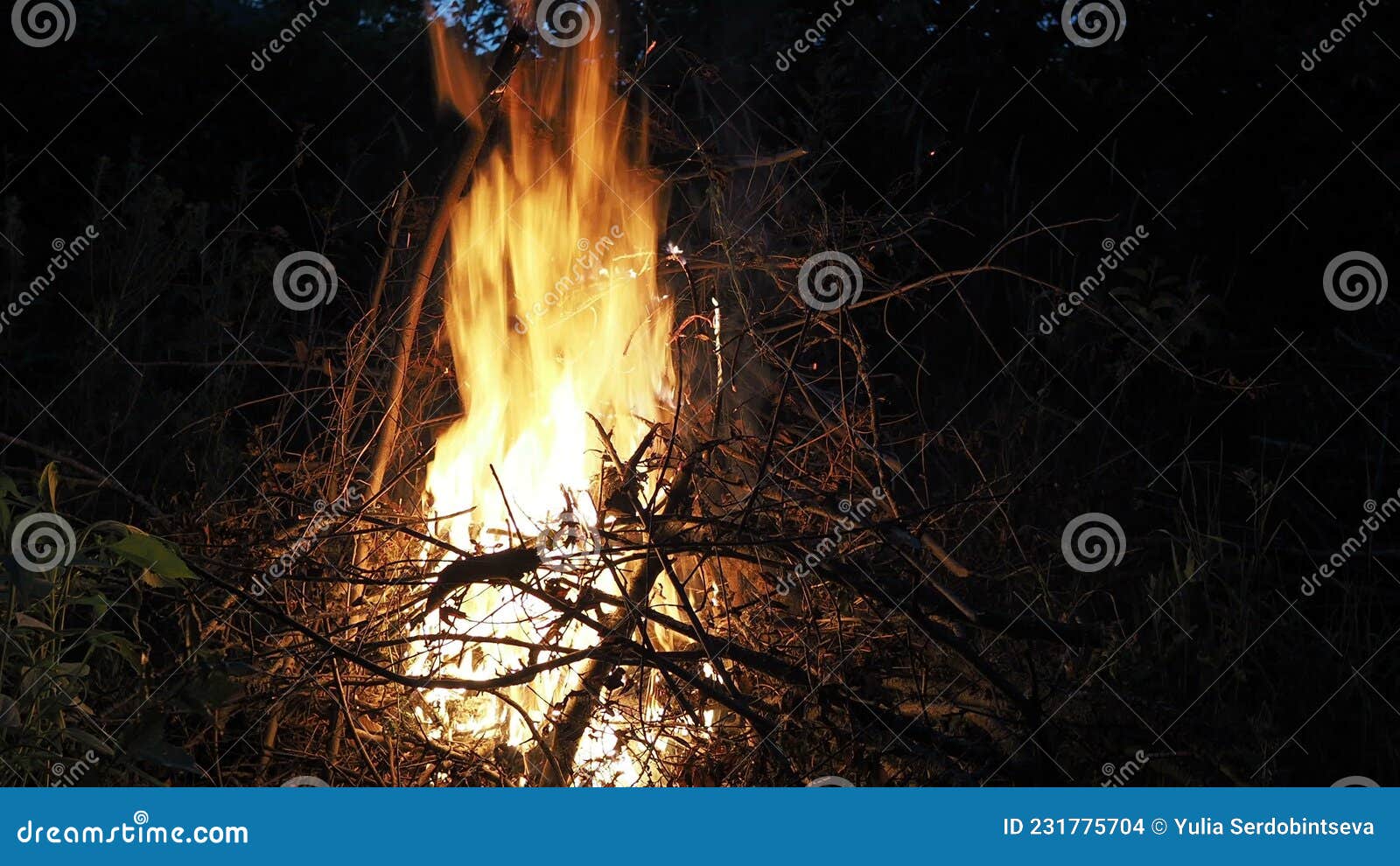 Burning Fire. the Bonfire Burns in the Forest. Texture of Burning Fire ...