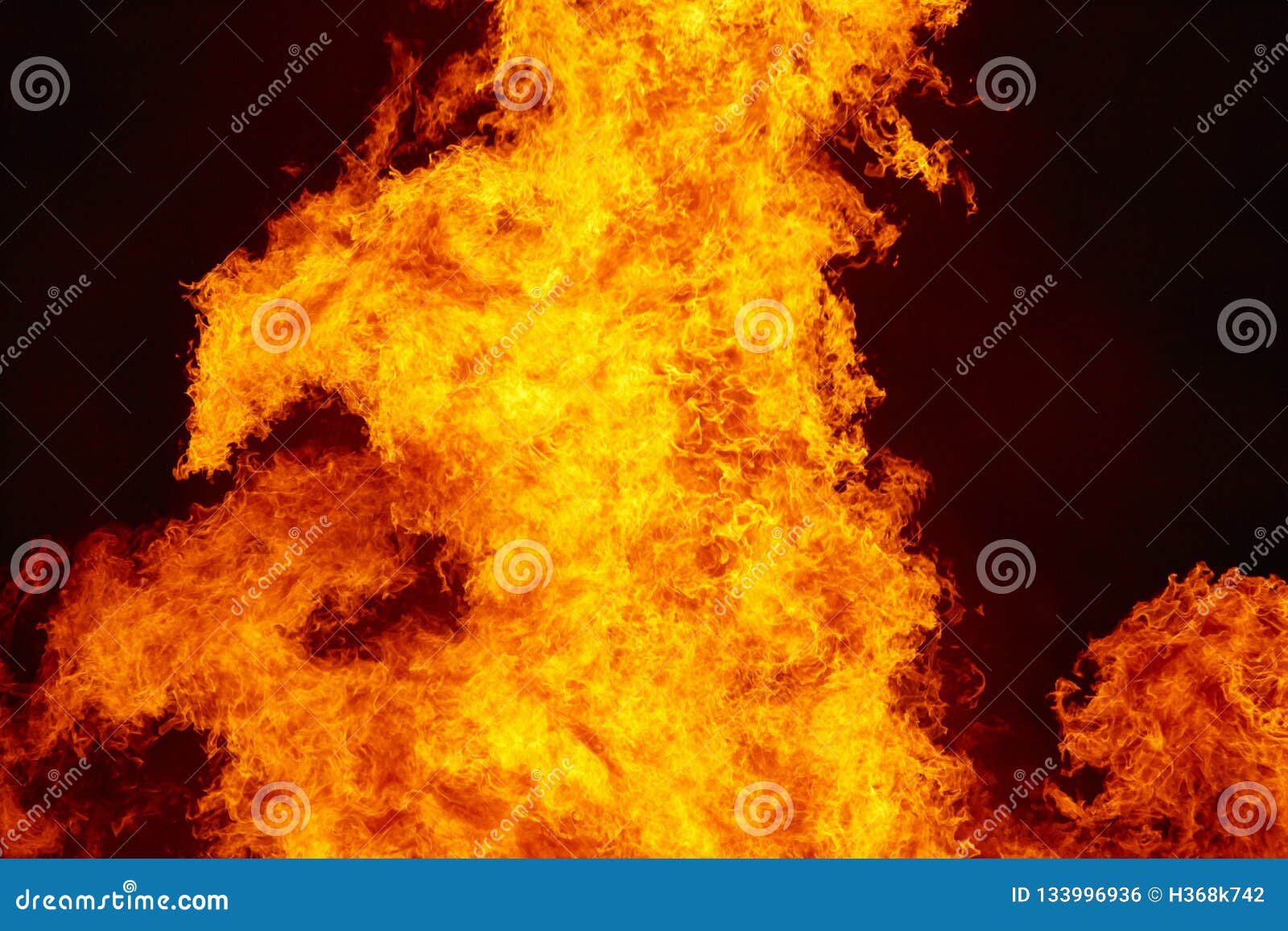 Burning Fire. Bonfire. Fire Fighting and Flame Ignition Stock Photo ...