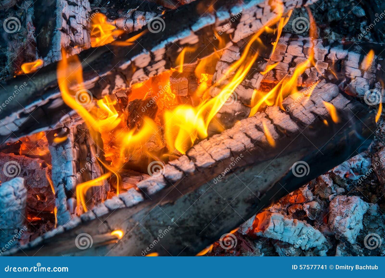 Burning fire stock image. Image of arranging, black, nature - 57577741