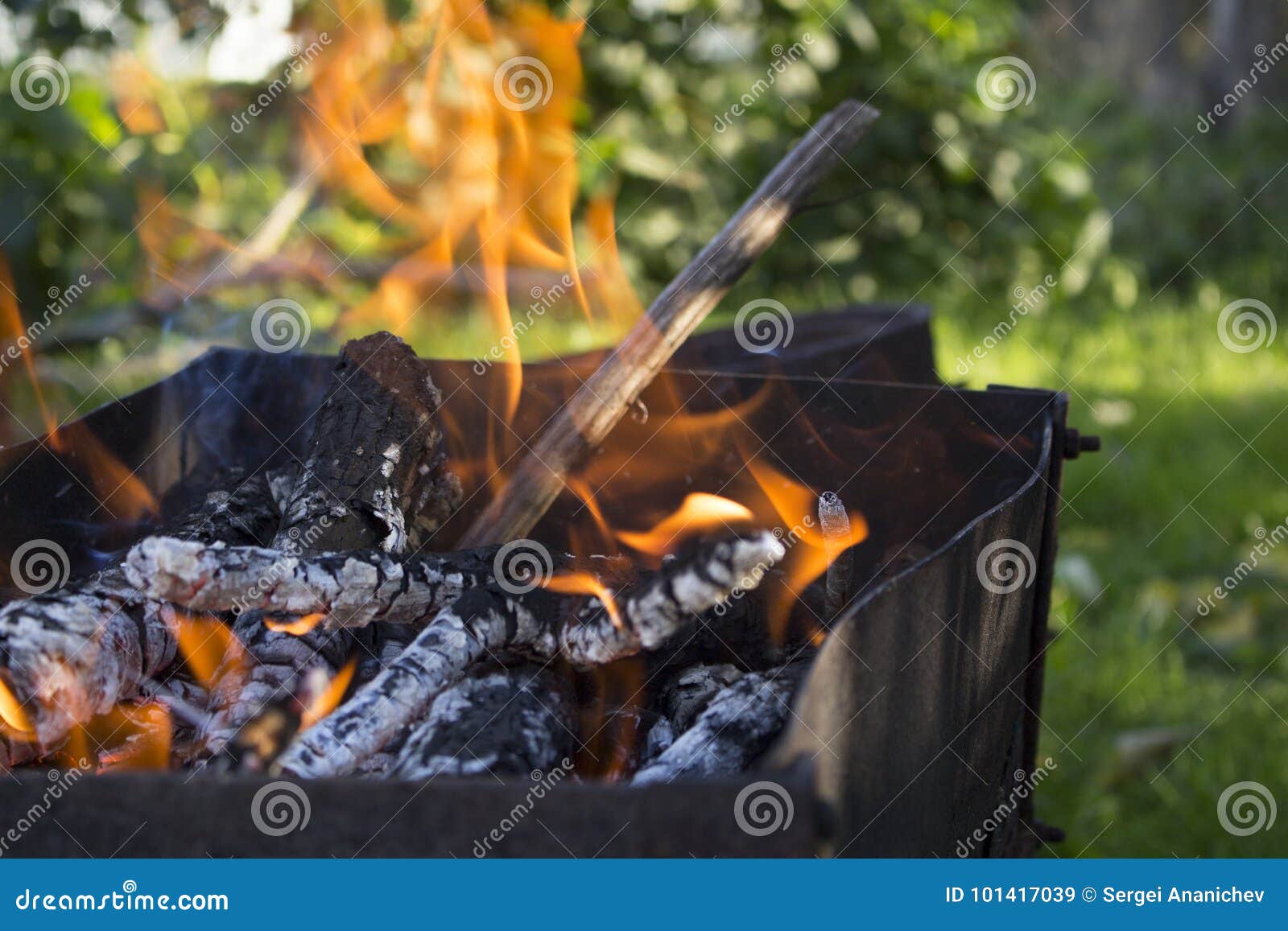 Burning fire stock image. Image of roasting, closeup - 101417039