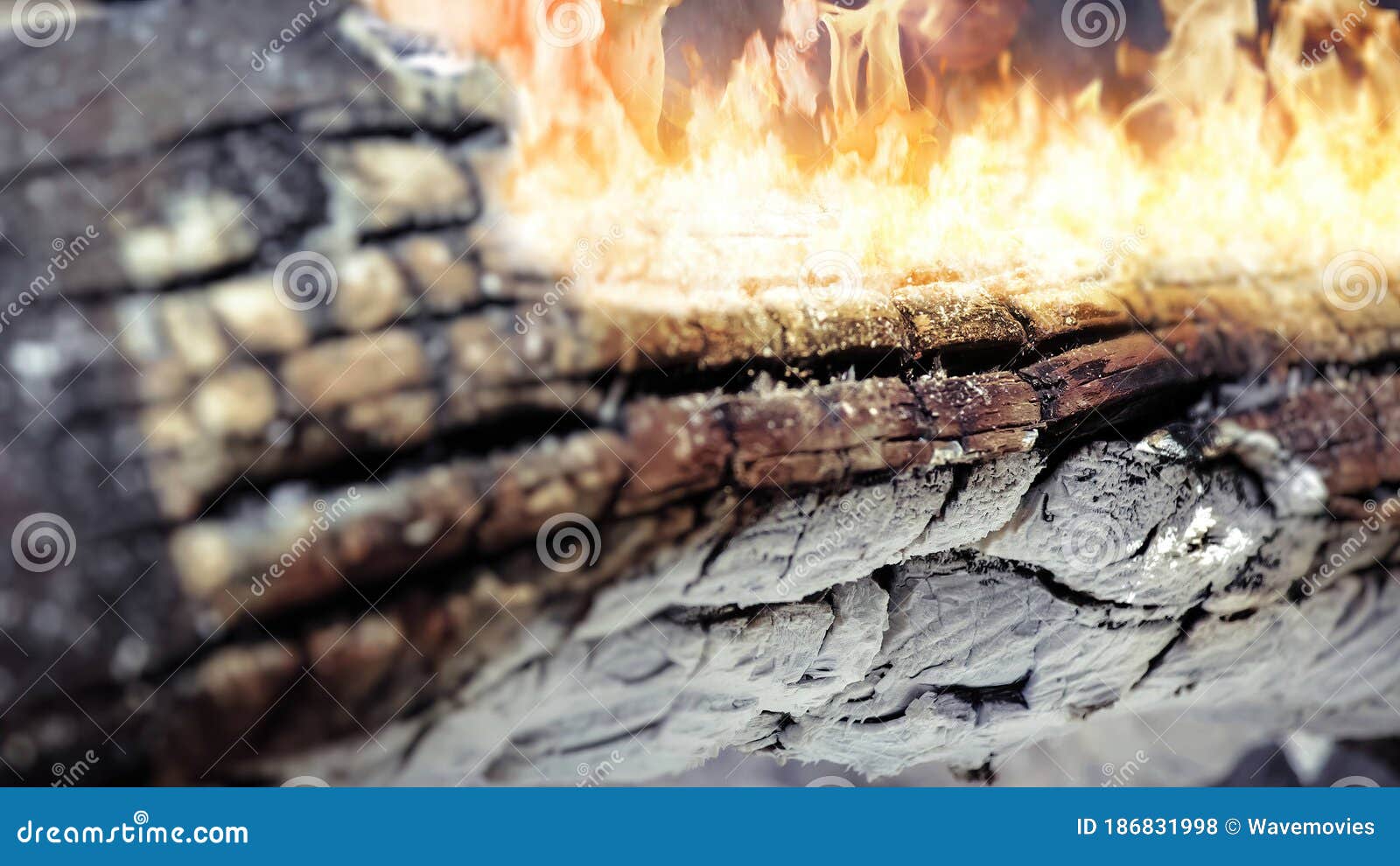 Burning Fire on a Burnt Log Stock Photo - Image of heat, focus: 186831998