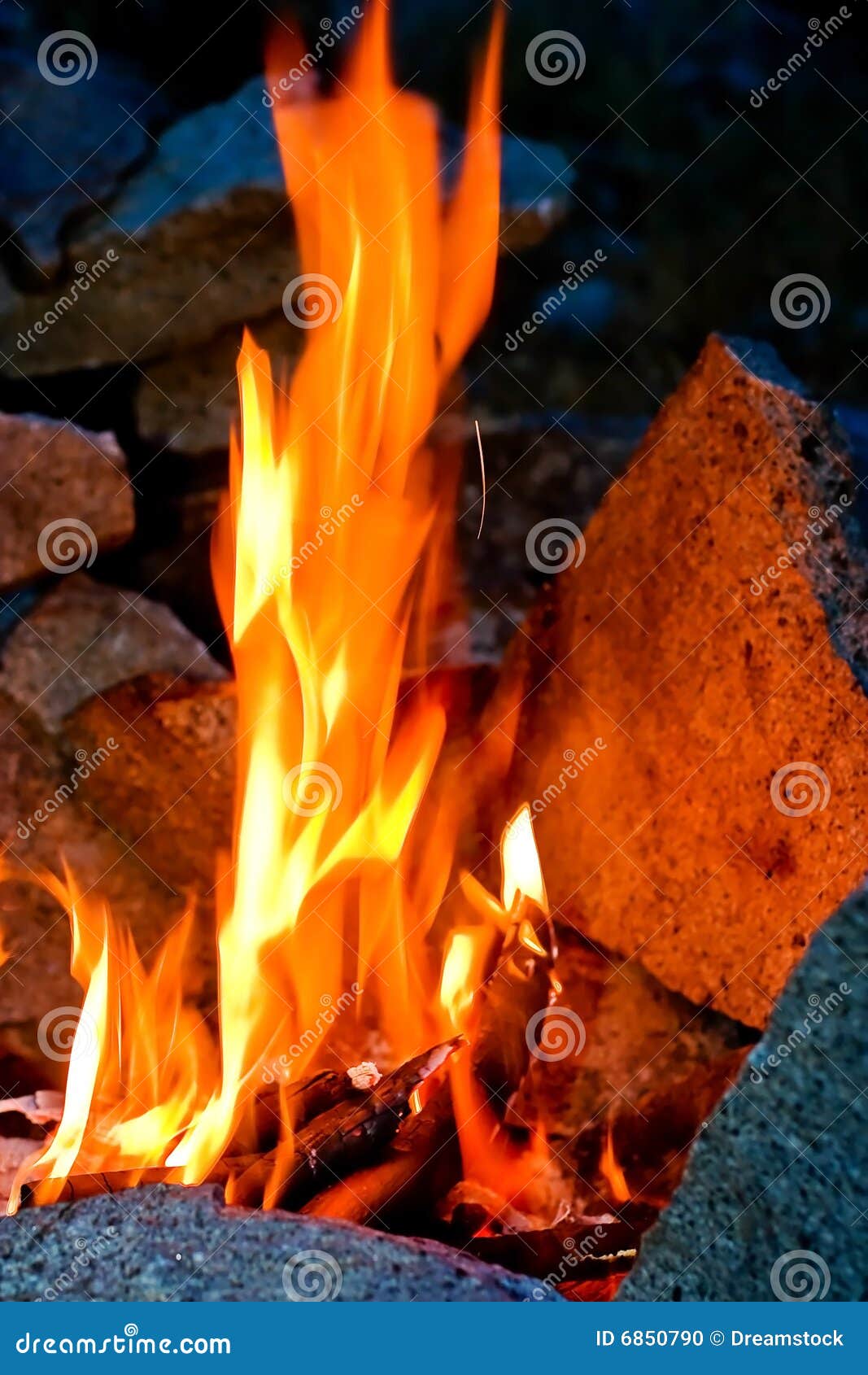 Burning fire close-up stock photo. Image of campfire, beautiful - 6850790