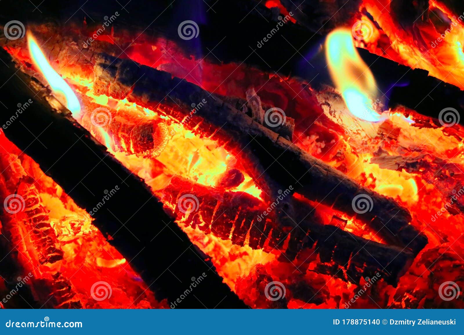 Burning Fire.Closeup. Bonfire, Burning Trees Logs. Red, Orange Fire ...