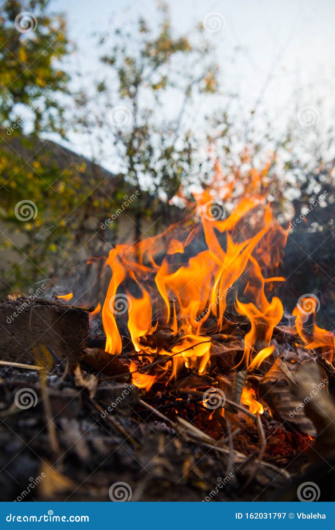 Burning Fire of Dried Leaves Stock Image - Image of ecology, park ...