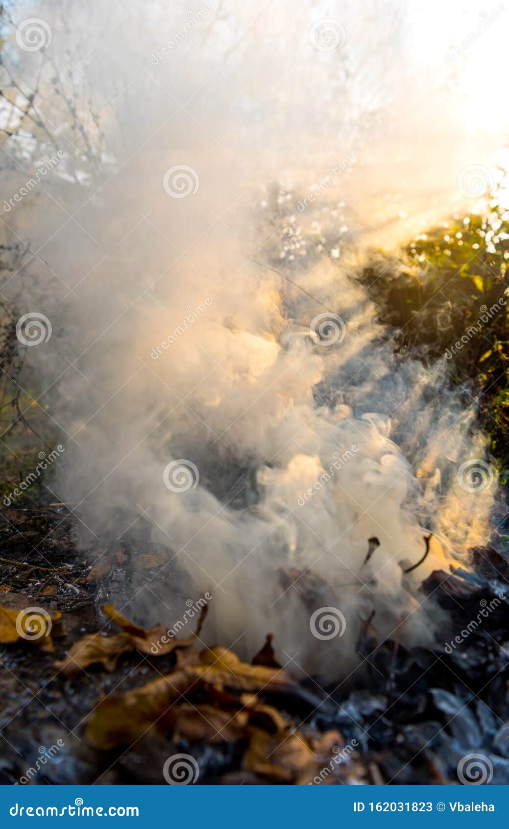 Burning Fire of Dried Leaves Stock Image - Image of ecology, season ...