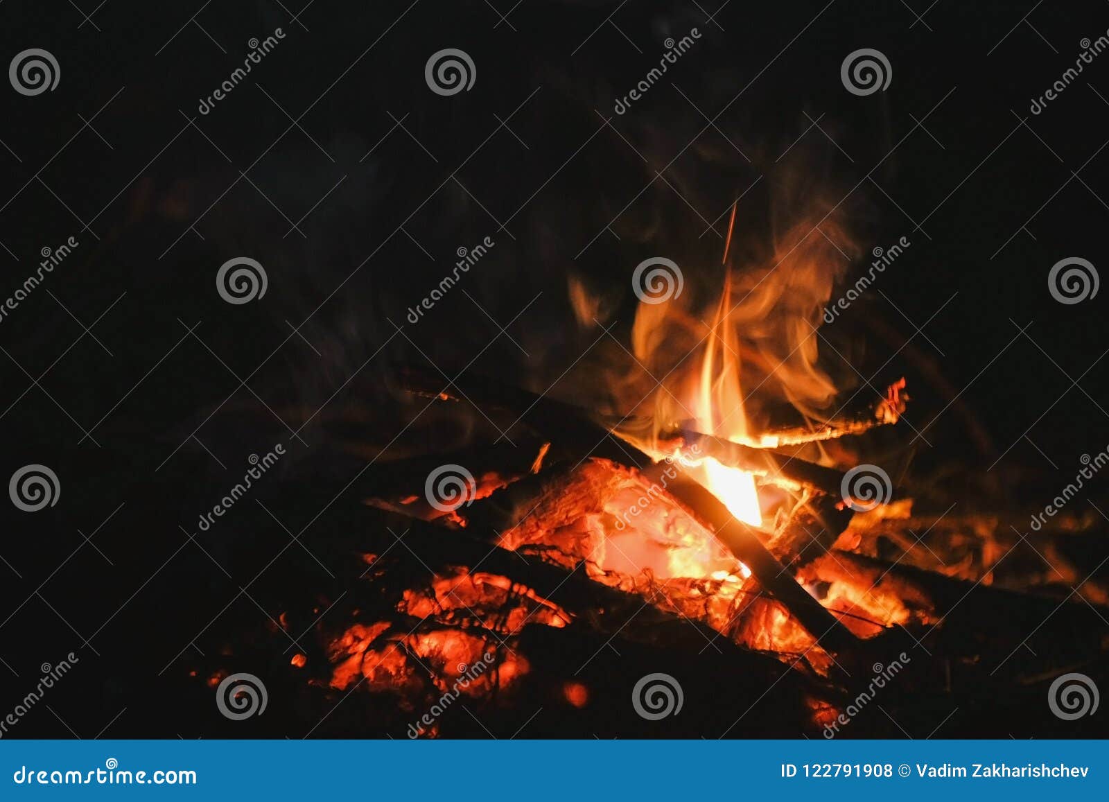 Burning Bonfire of Dry Branches in the Forest Close-up. Stock Photo ...