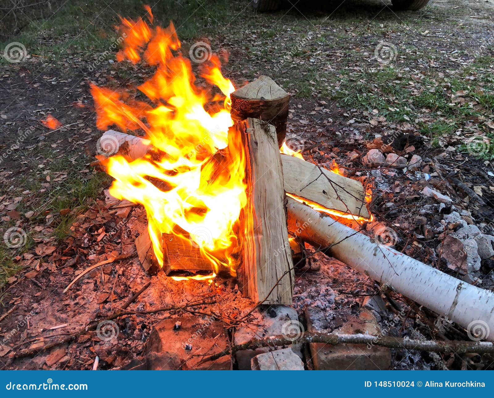 Burning Fire, Burning Firewood, Bonfire and Flames Stock Photo - Image ...