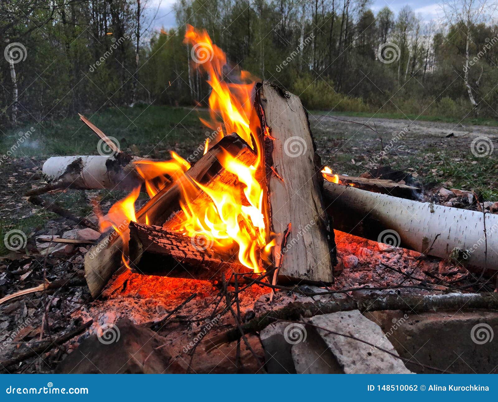 Firewood Bonfire Before. Folded Wood In Front Of A Fire In The Woods ...