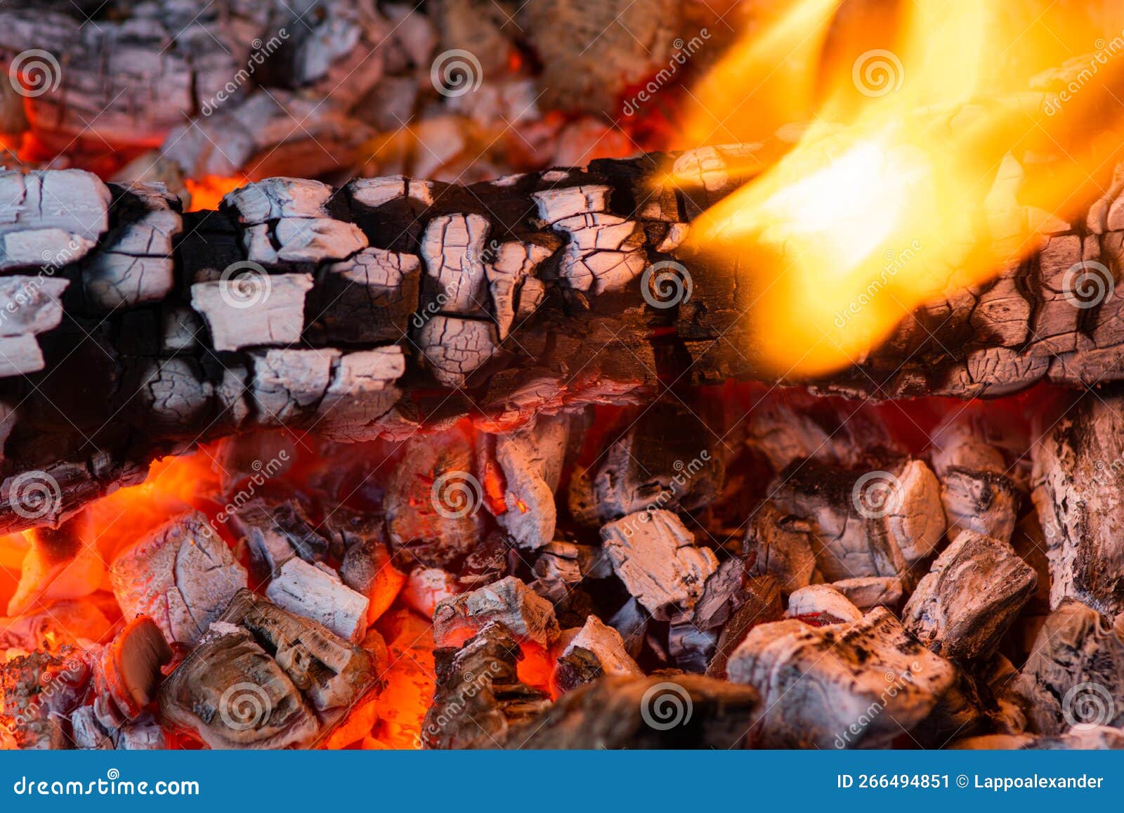 Burning Fire, Flame on Wood Stock Image - Image of nature, fire: 266494851