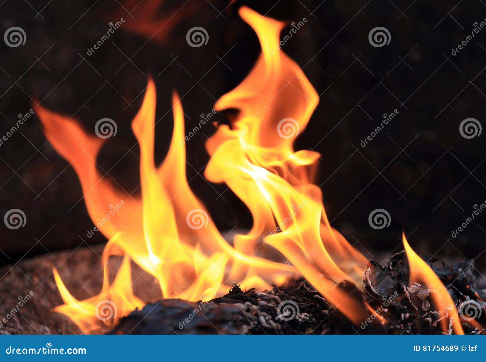 Burning fire flames stock image. Image of fire, hell - 81754689
