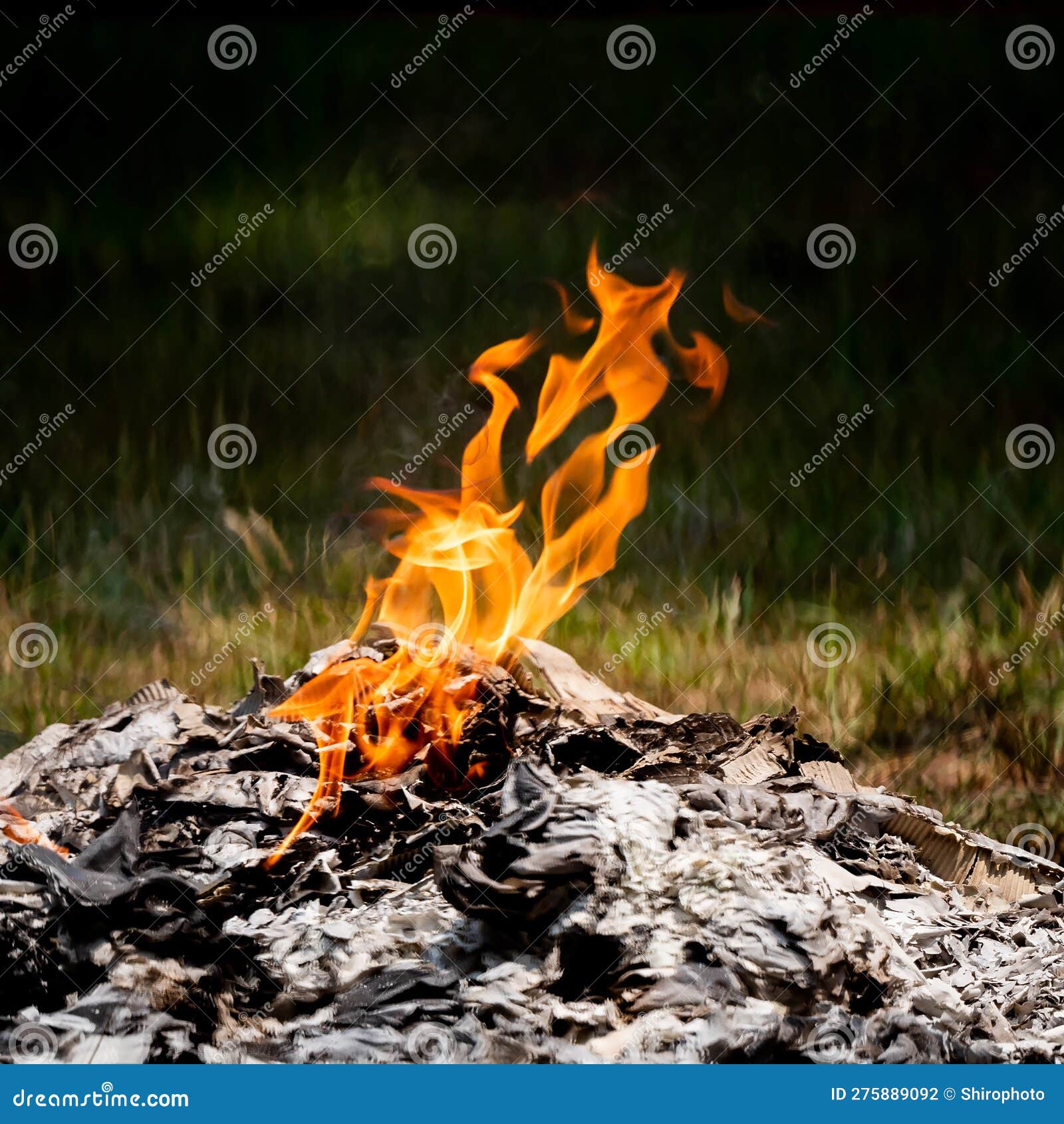 Burning Fire in the Material Stock Photo - Image of yellow, campfire ...